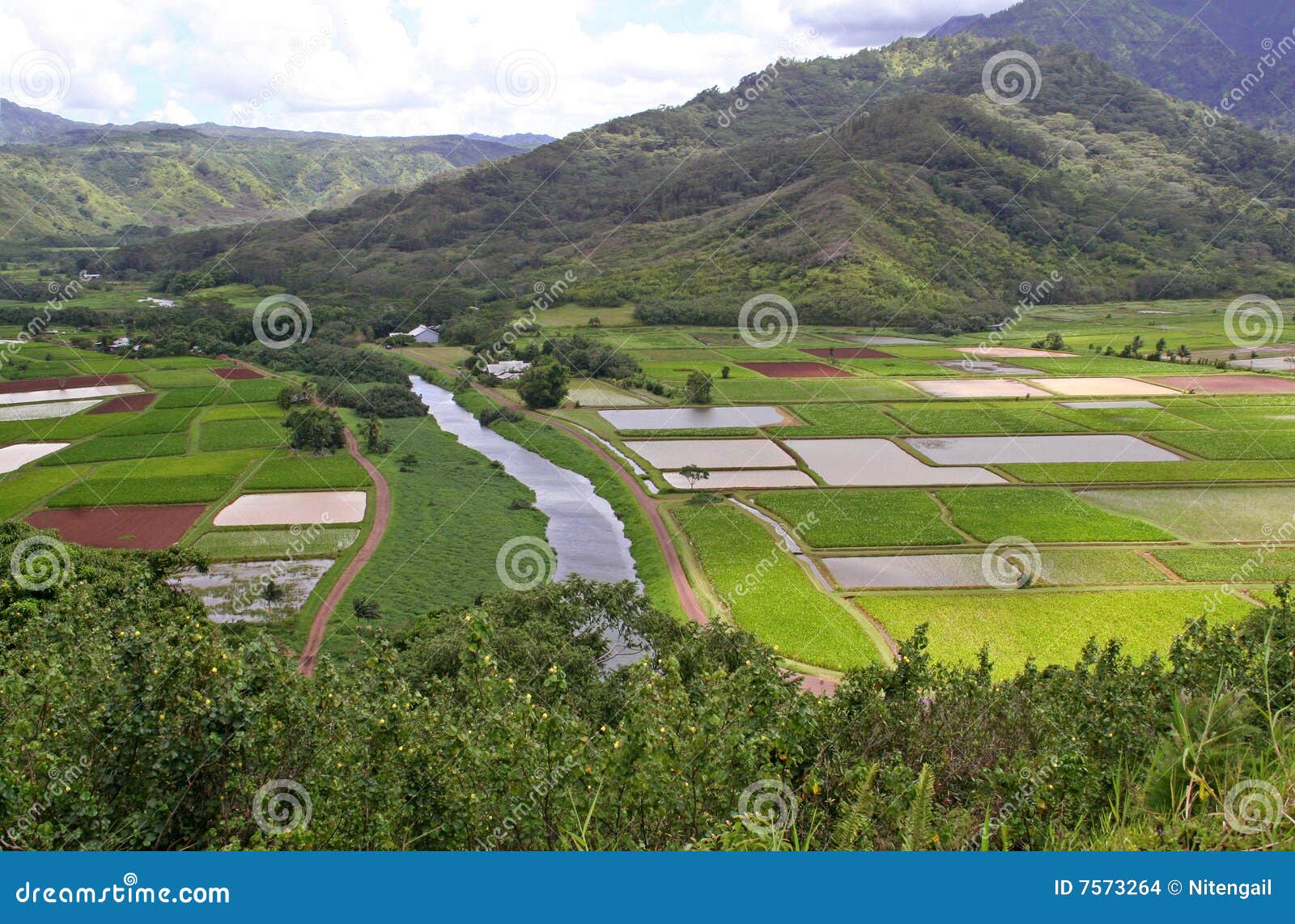 Farm in Hawaii stock photo. Image of ridges, ditch, cloudy - 7573264