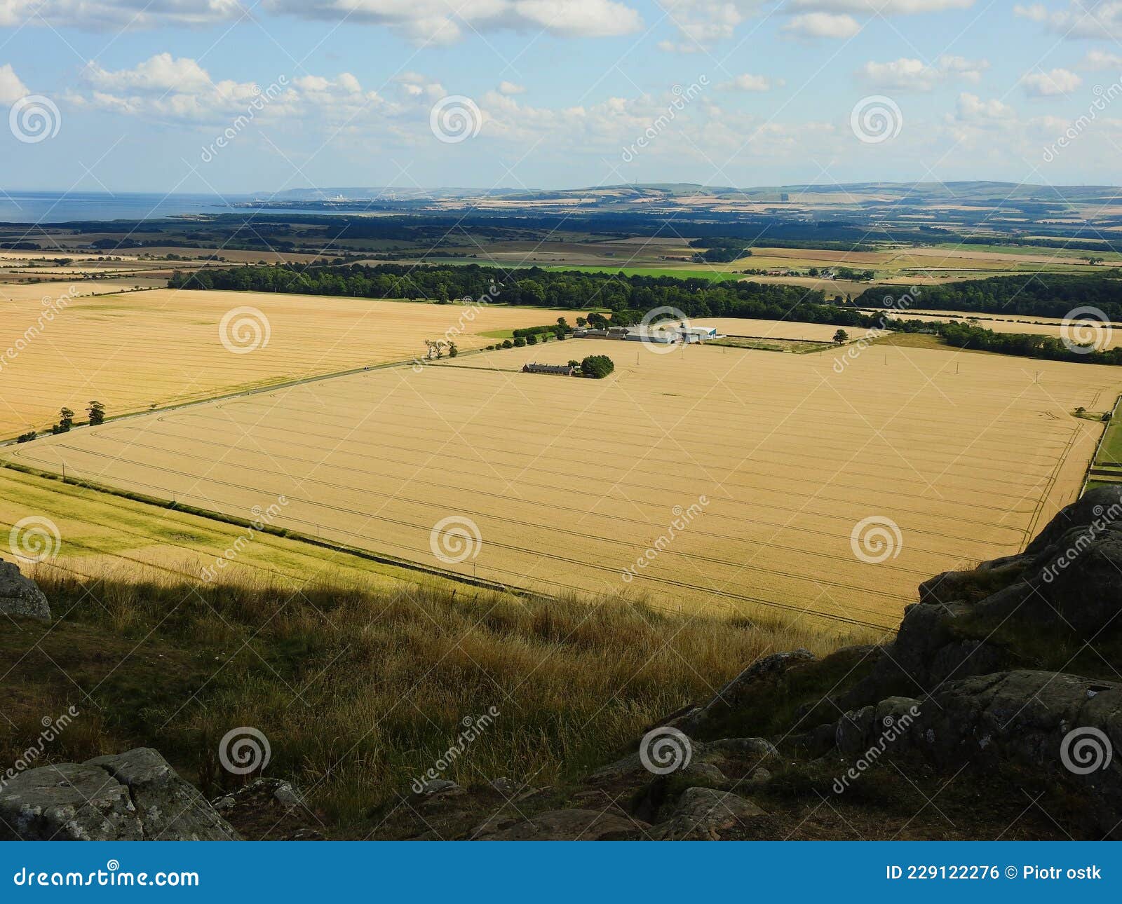 Farm hill landspace stock photo. Image of horizon, morning - 229122276