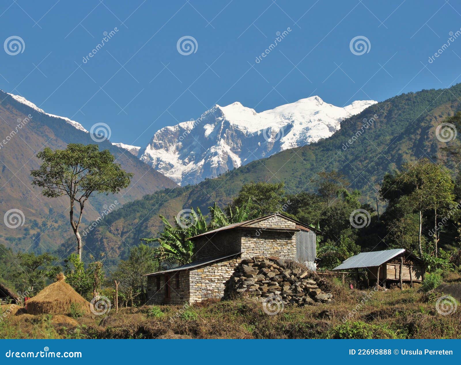 Farm in the Himalayas, Nepal Stock Photo - Image of sunshine, house ...