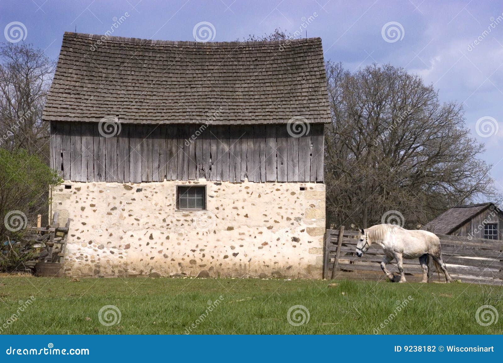 Farm Horse and Rustic Barn stock photo. Image of history - 9238182