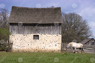 Farm Horse and Rustic Barn stock photo. Image of history - 9238182