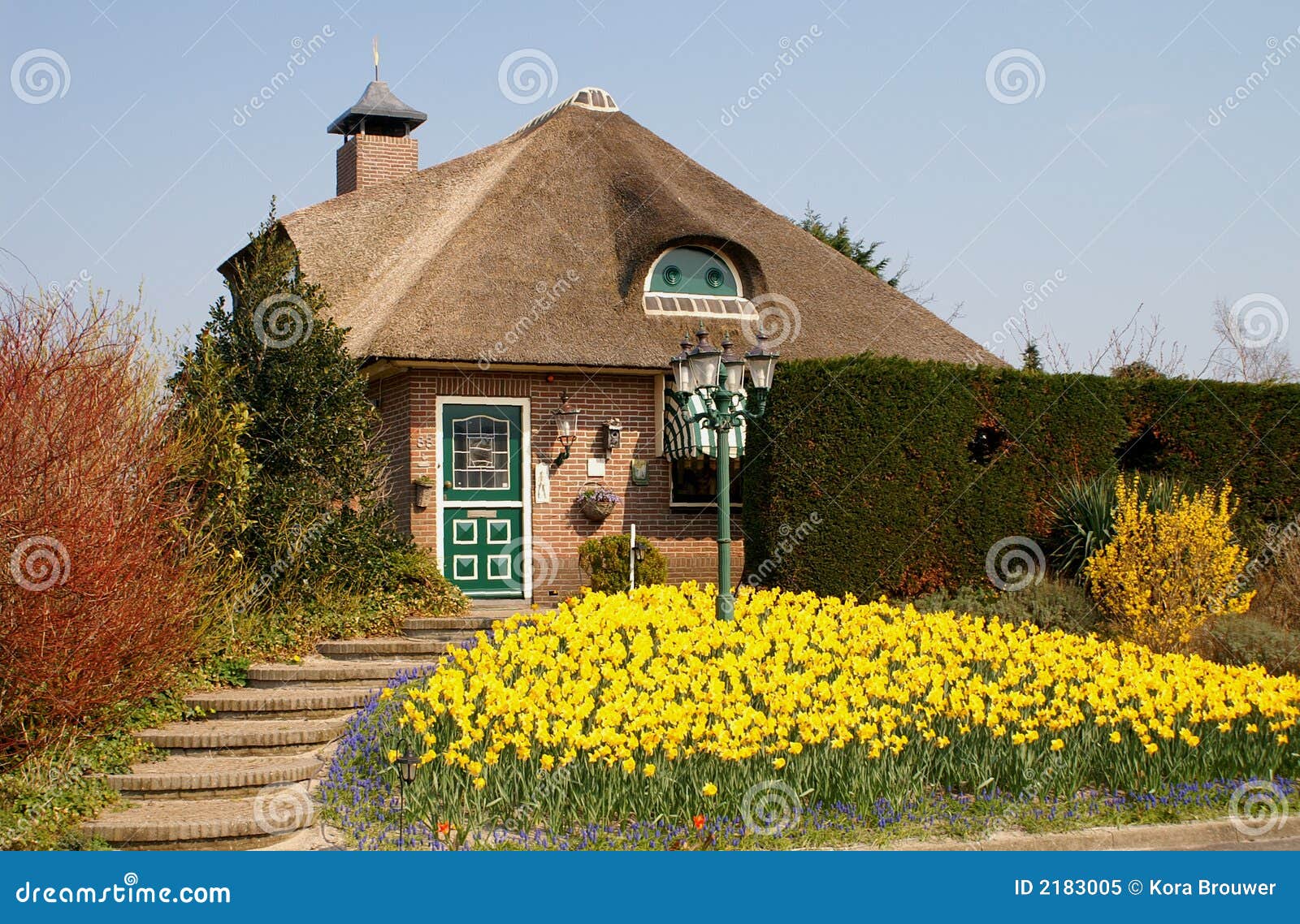 Farm house stock image. Image of farmhouse, yellow, narcissus - 2183005