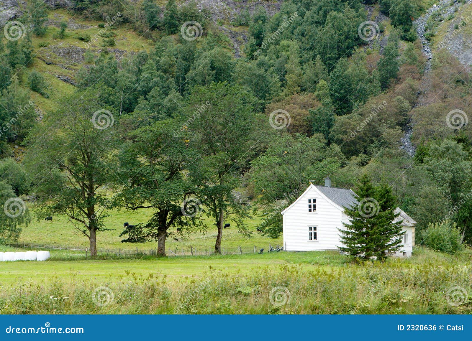 Farm house stock photo. Image of summer, nature, outdoor - 2320636