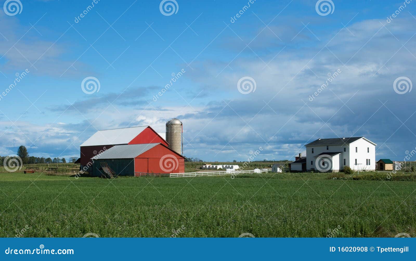 Farm House & Barns stock photo. Image of farming - 16020908