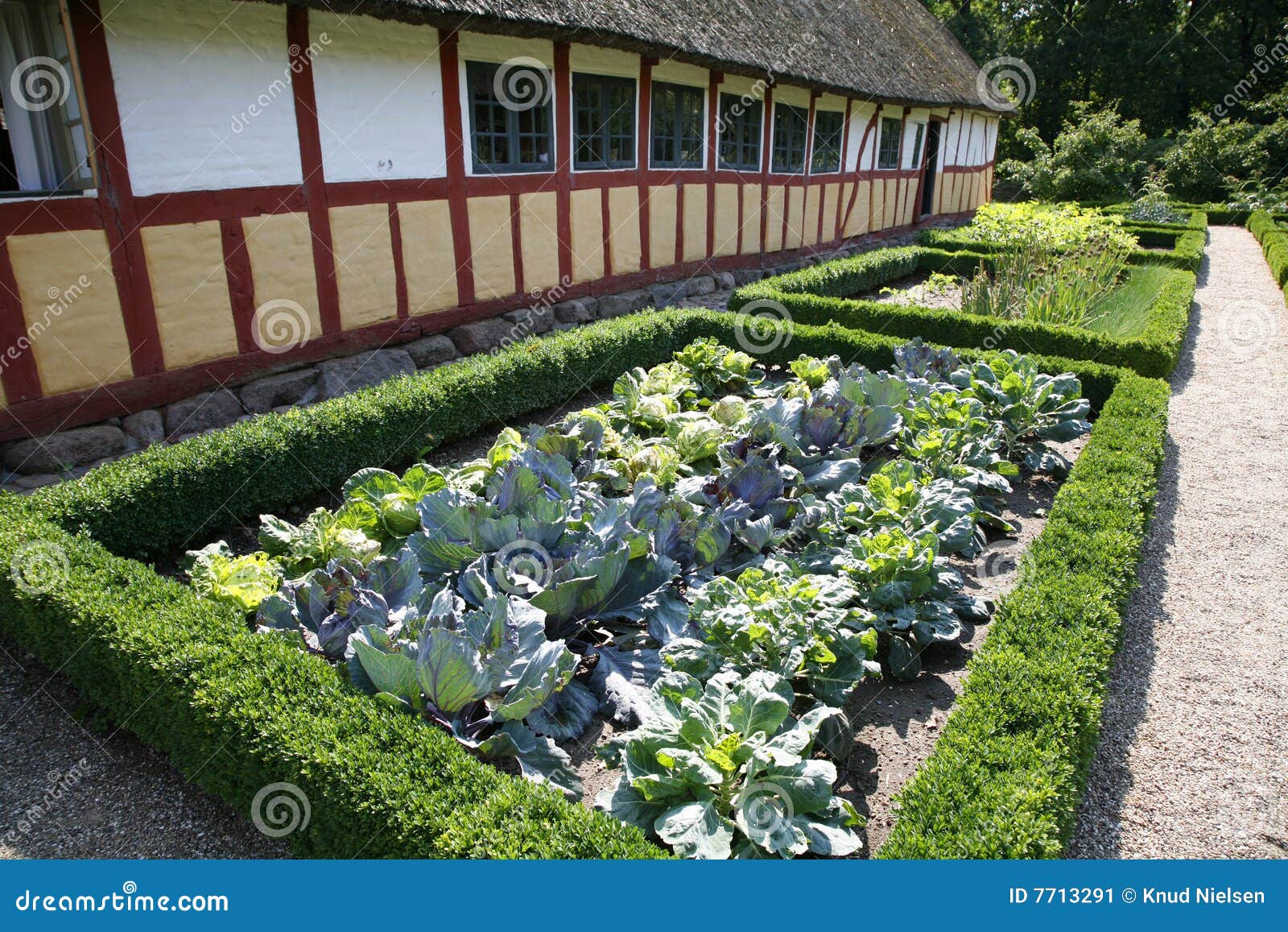 Farm House with Cabbage Garden Stock Image - Image of painted ...