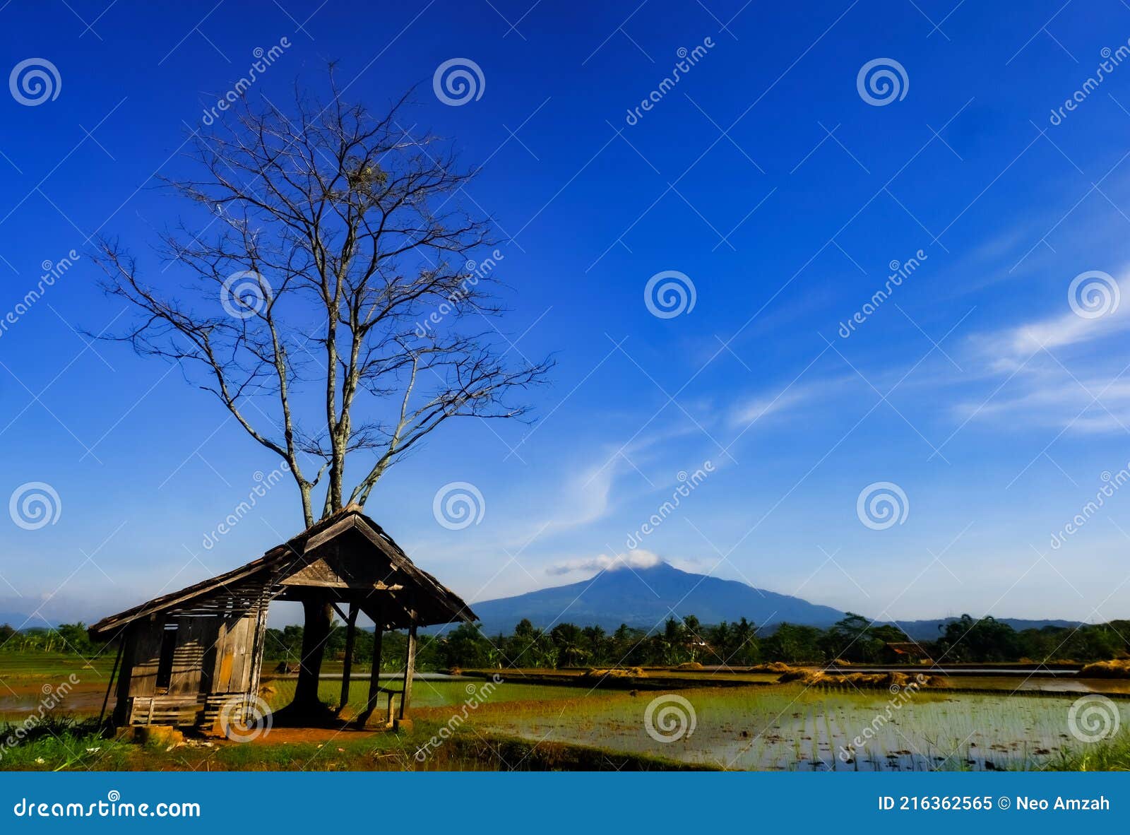 Farm house in the fields stock image. Image of farm - 216362565
