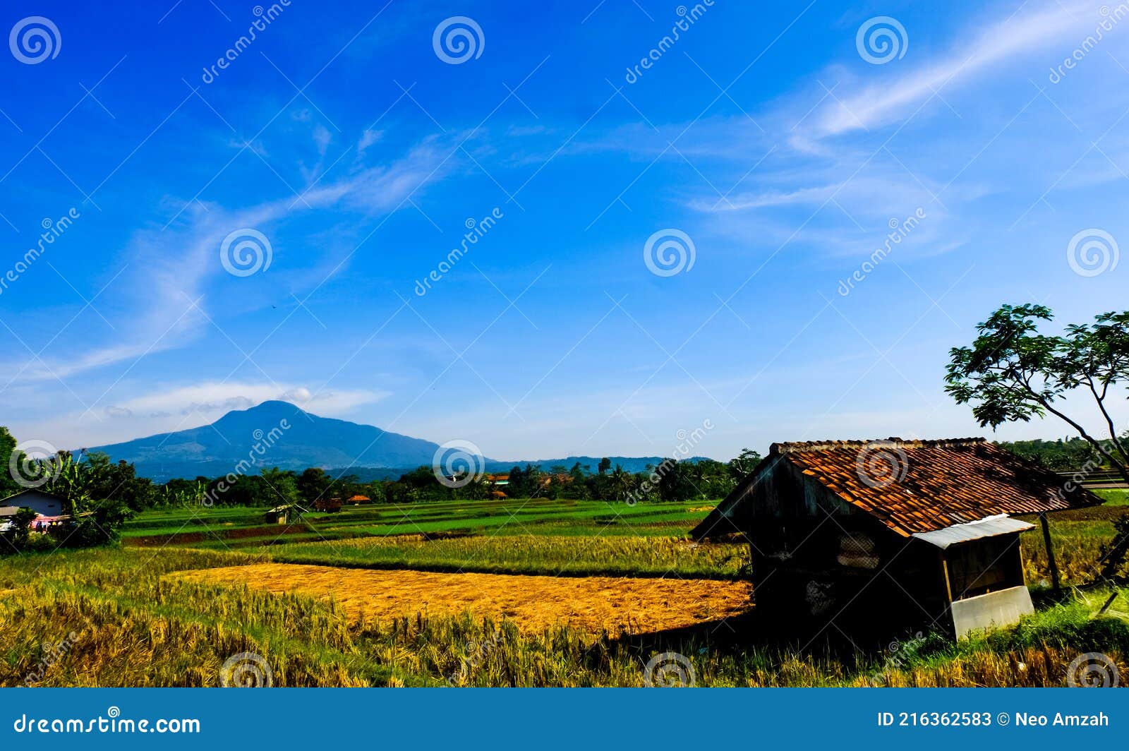 Farm house in fields stock image. Image of mountain - 216362583