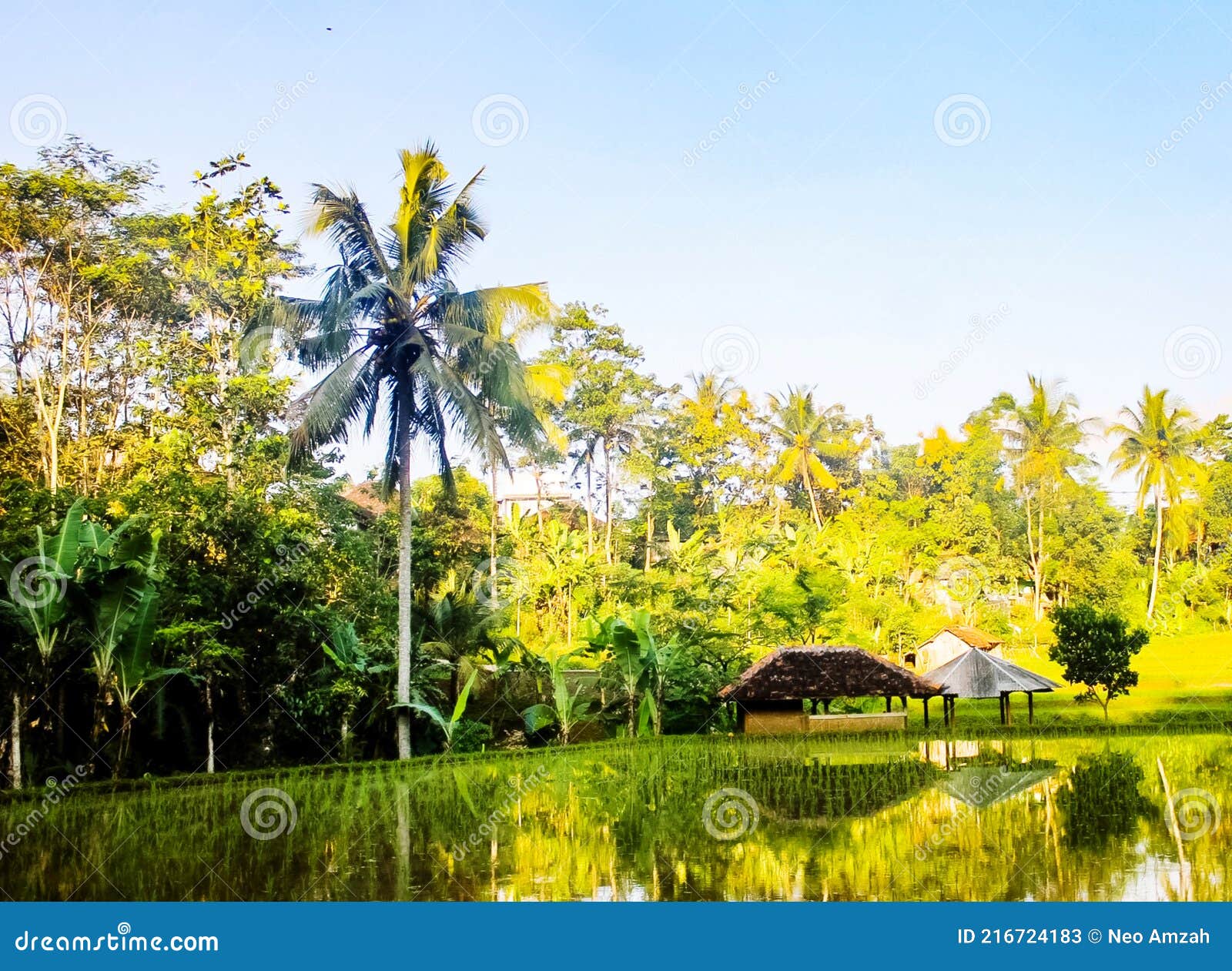 Farm house in fields stock image. Image of wetland, reflection - 216724183