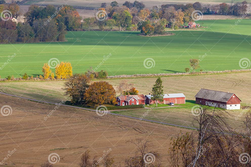 Farm stock photo. Image of nature, cultivated, buildings - 33262740