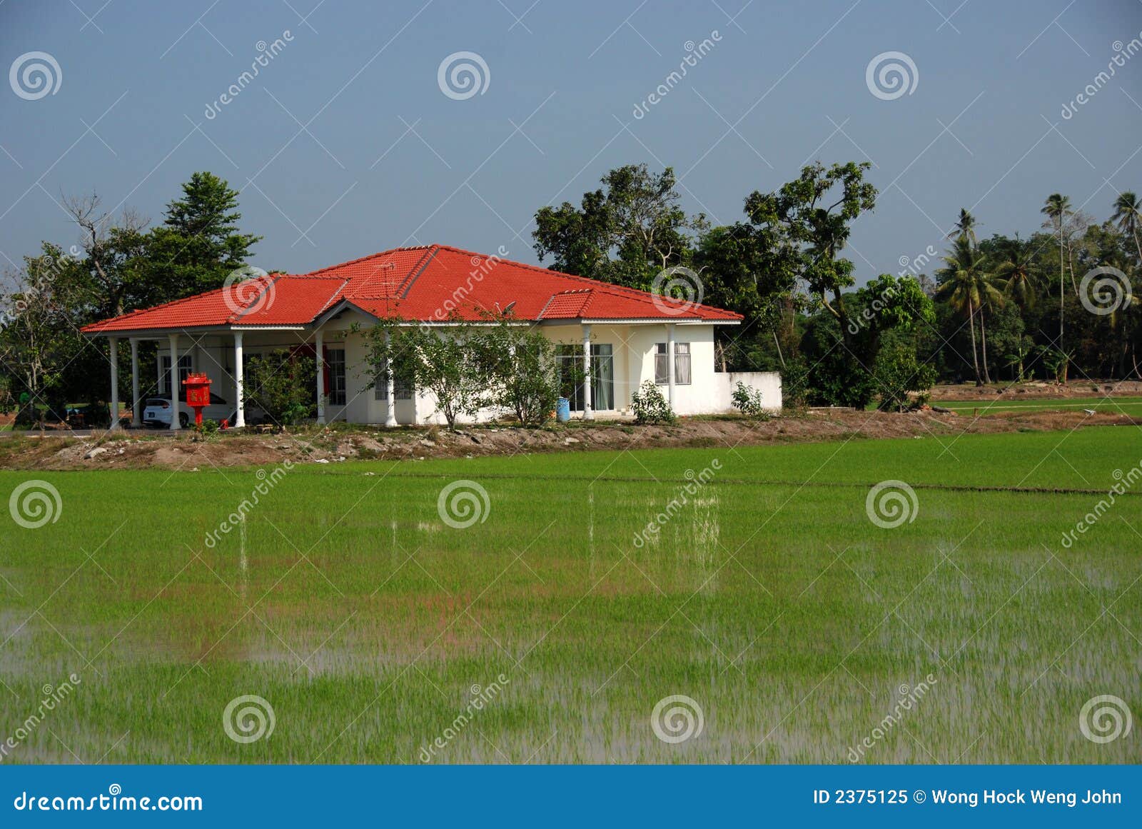 Farm House And Paddy Field Picture. Image: 2375125