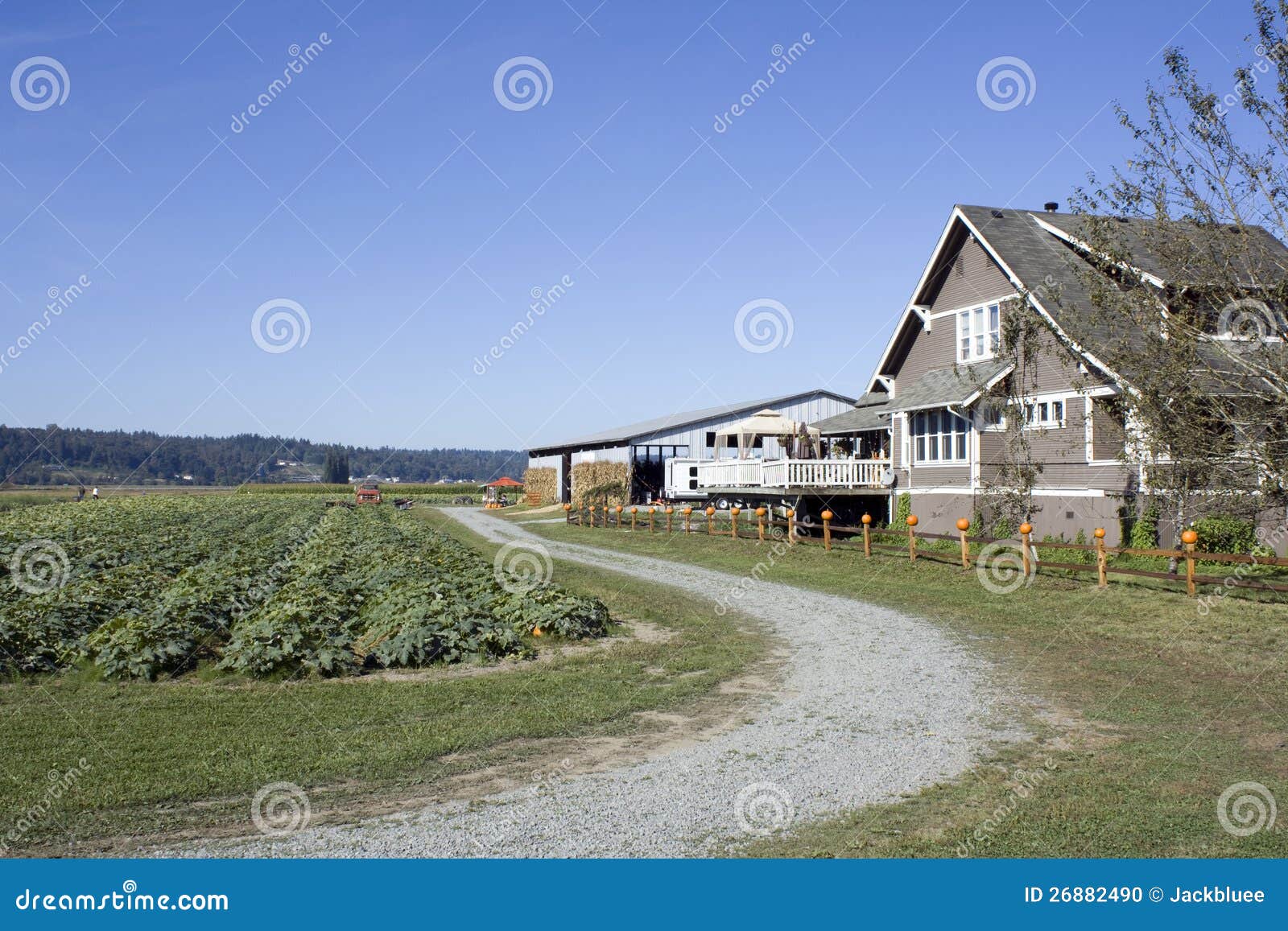 Farm house path stock photo. Image of country, farm, pumpkin - 26882490