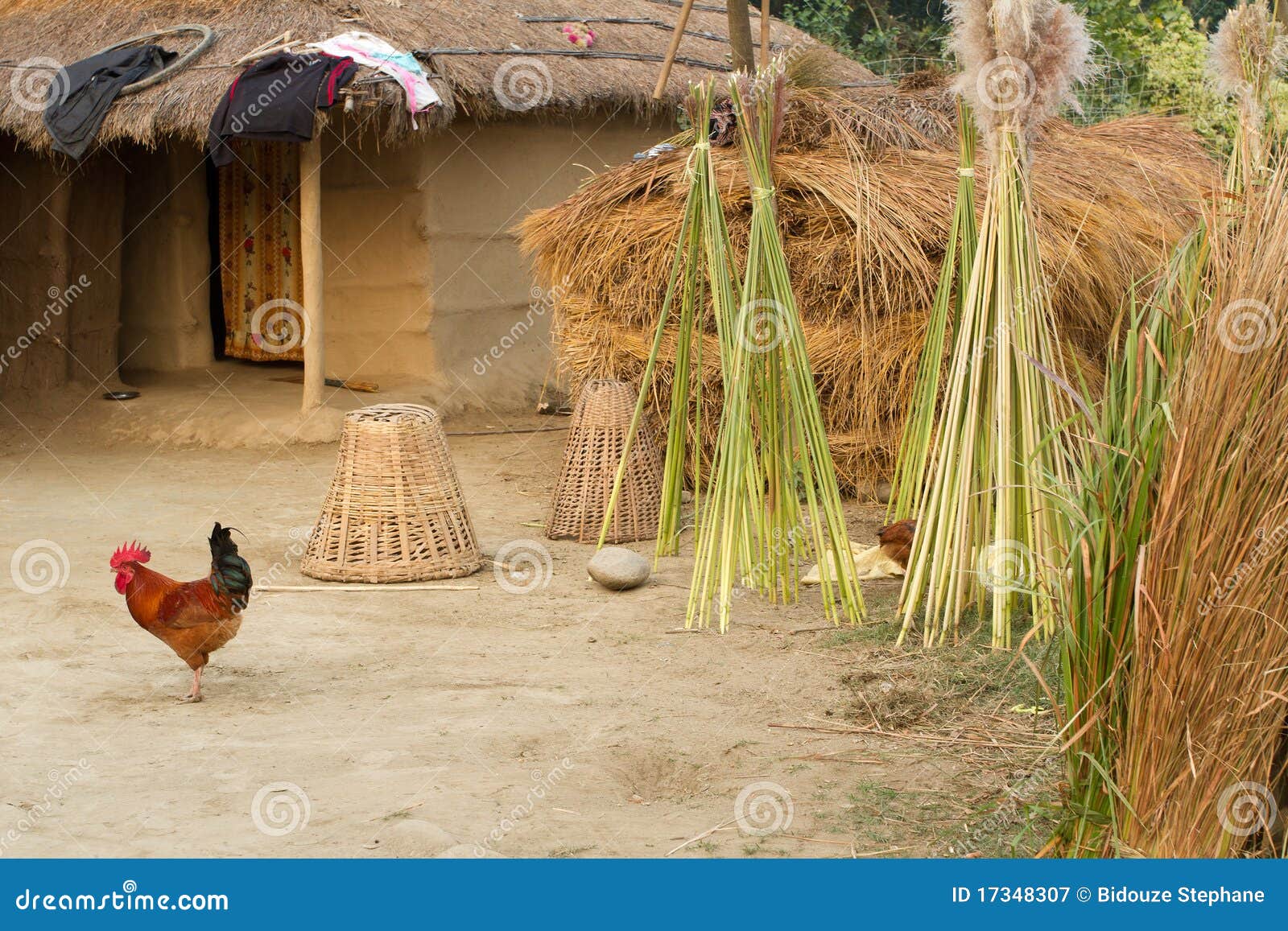 Farm Huts Canola Field Agriculture Landscape Stock Image ...