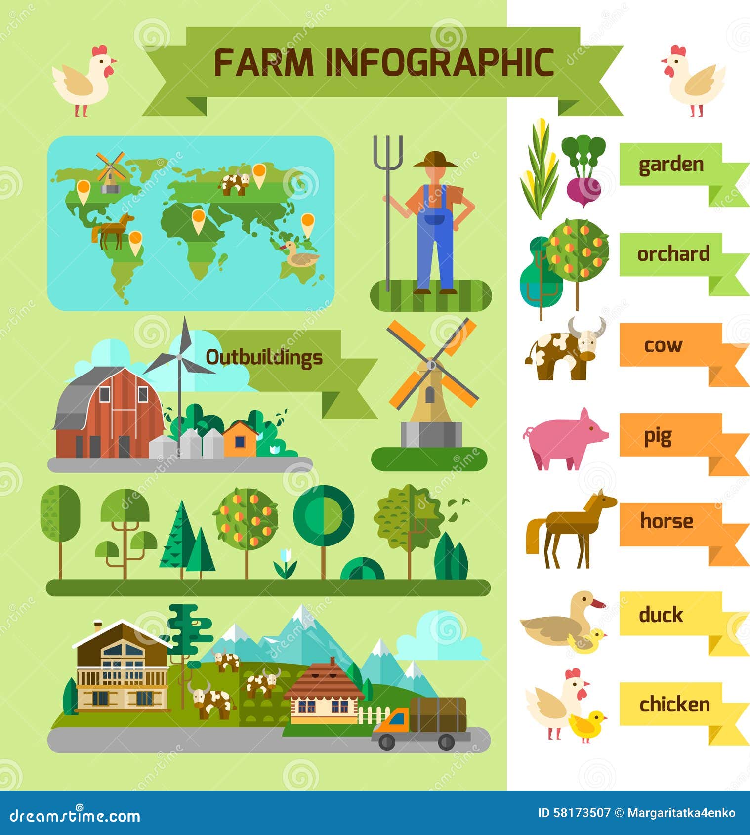 Farm infographic stock vector. Illustration of design - 58173507