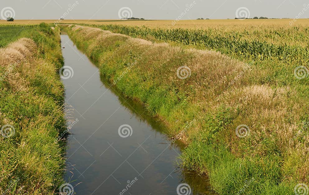 Farm irrigation channel stock photo. Image of season - 12102078