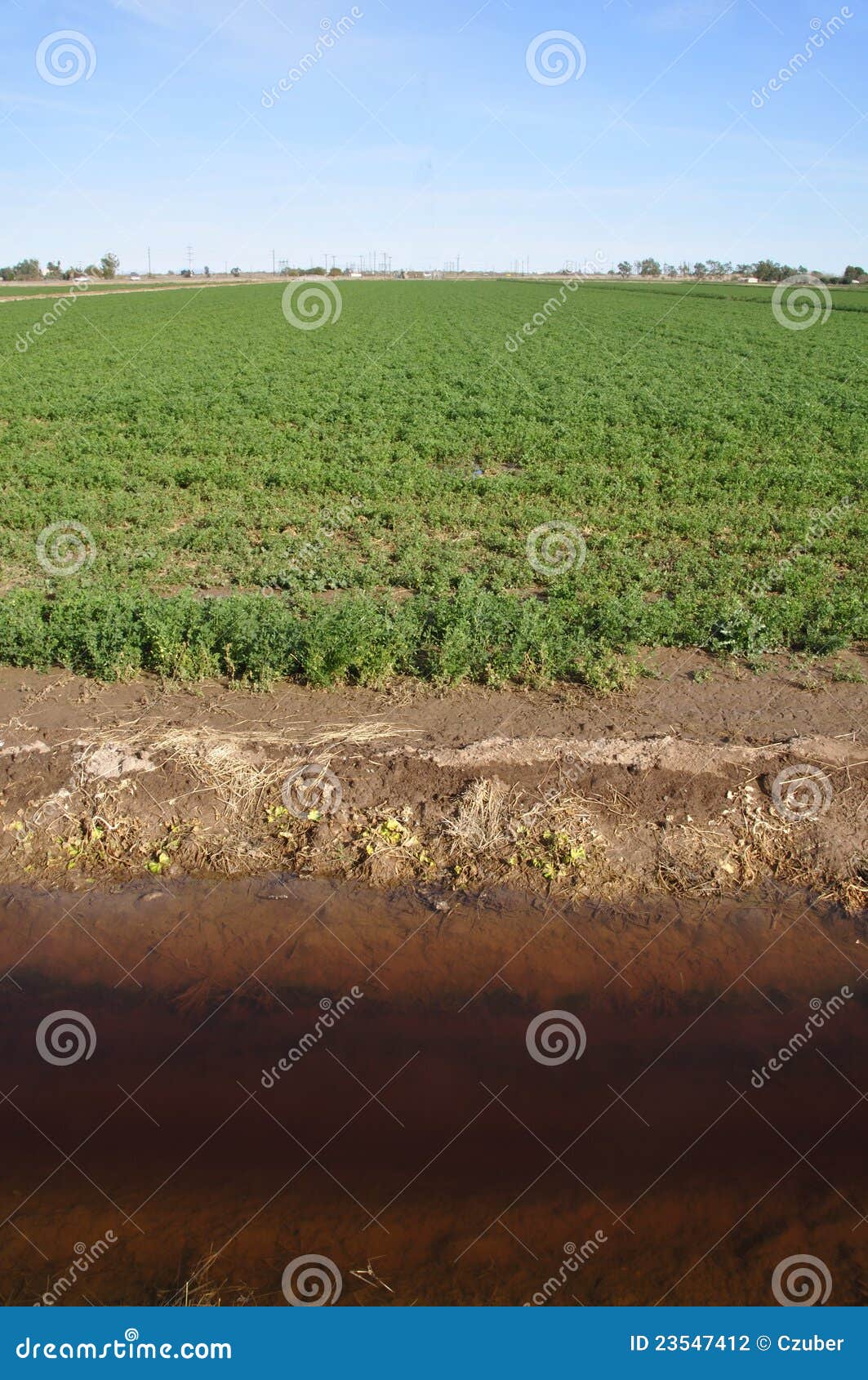 Farm irrigation ditch stock photo. Image of crop, ditch - 23547412