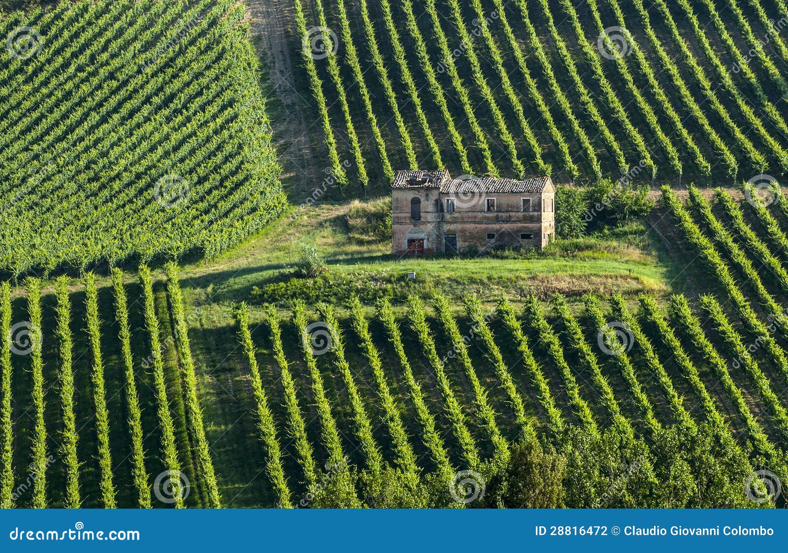 Farm in Italy stock photo. Image of view, ruin, italy - 28816472
