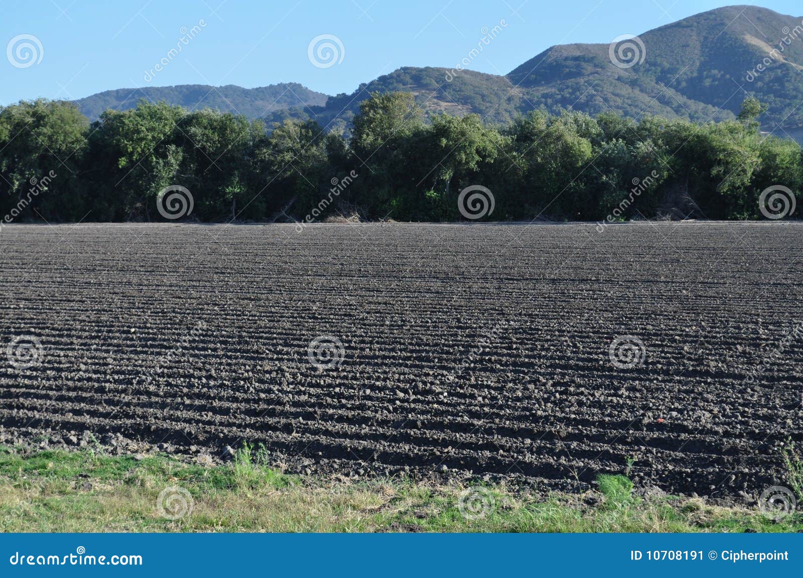 Farm Land stock image. Image of lined, path, country - 10708191