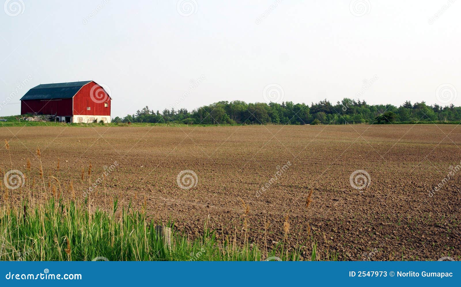 Farm land stock image. Image of field, rural, lush, sunset - 2547973