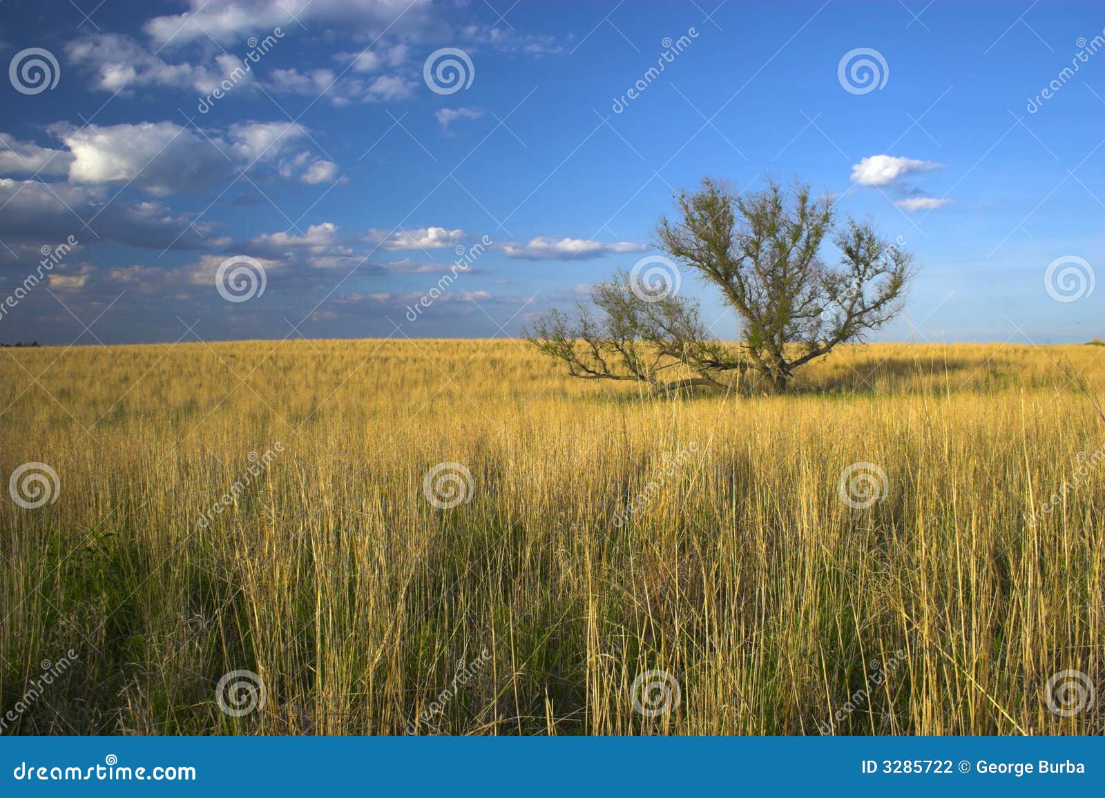 Farm land stock photo. Image of vacation, prairie, farm - 3285722