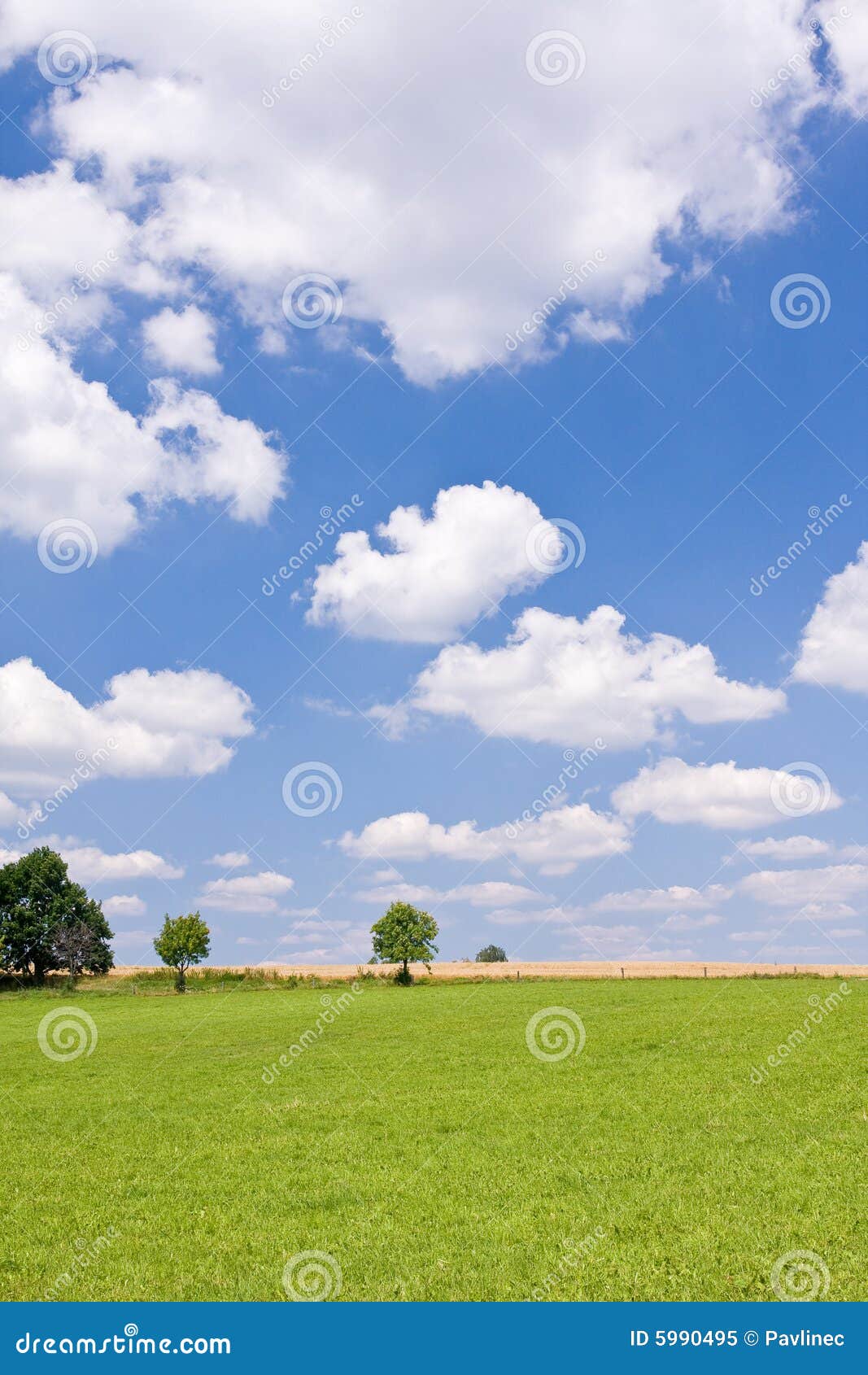 Farm land stock image. Image of beautiful, field, land - 5990495
