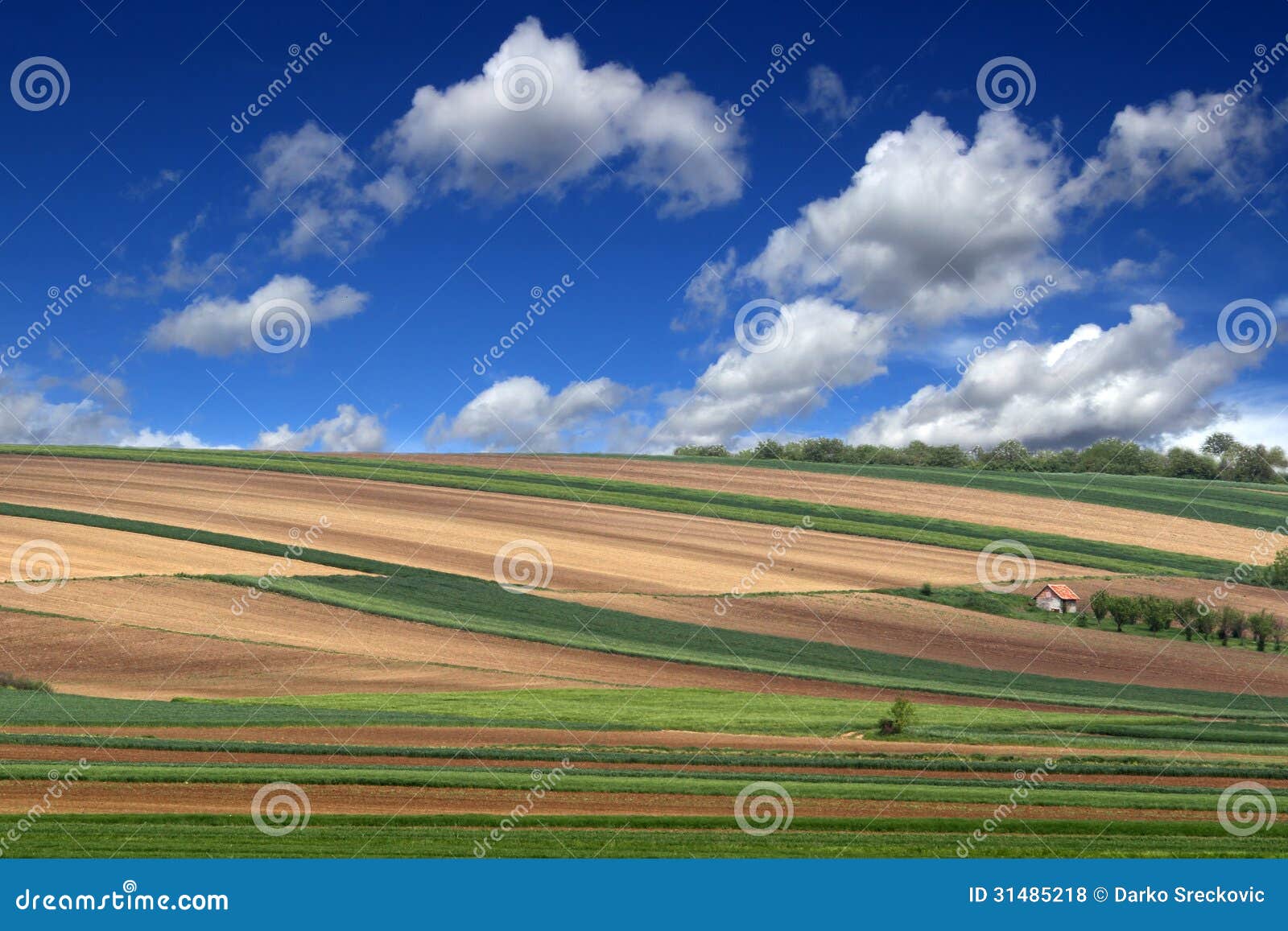Farm land stock photo. Image of agriculture, farm, green - 31485218