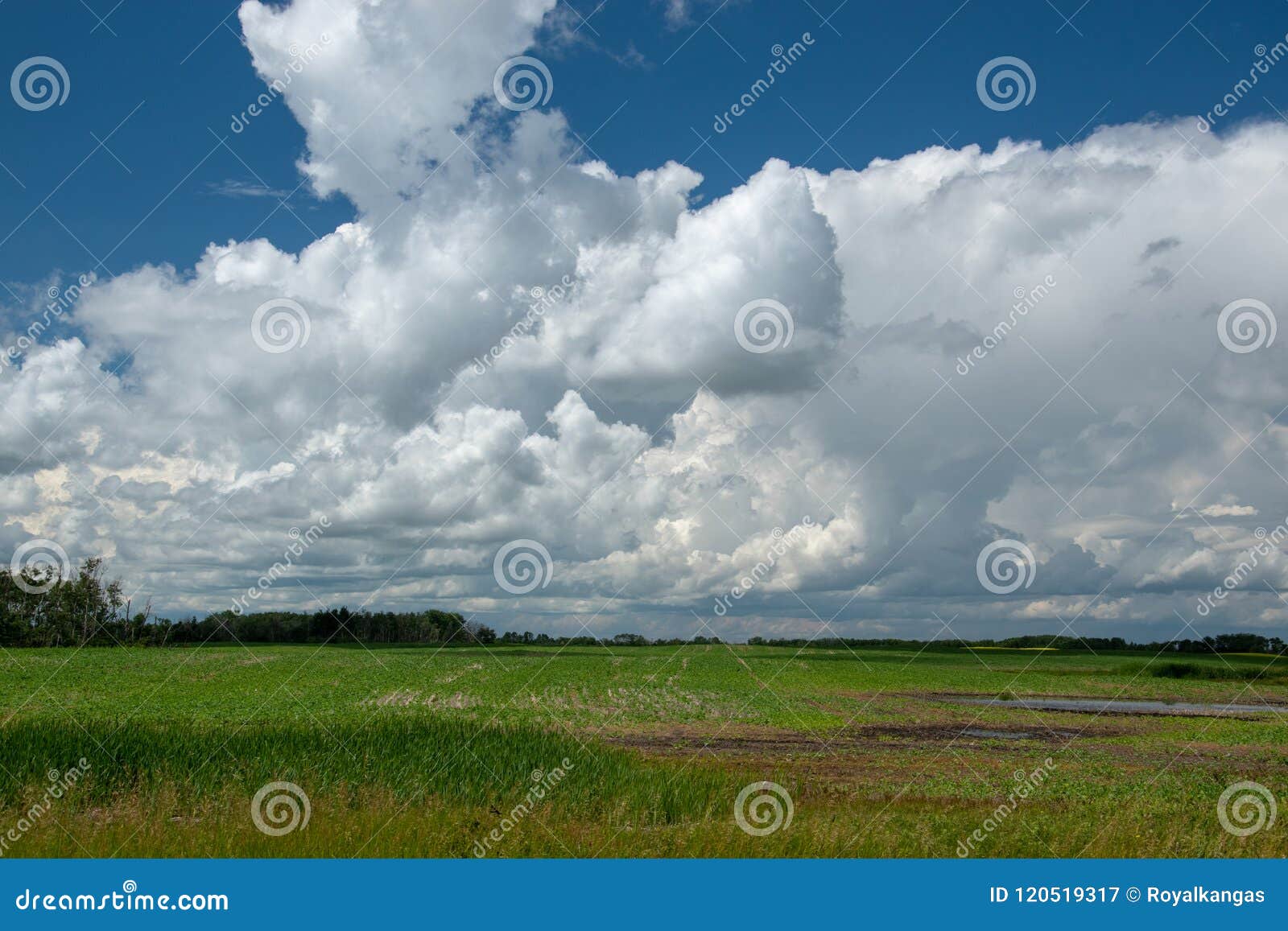 Farm Land North of Churchbridge, Eastern Saskatchewan, Canada. Stock ...