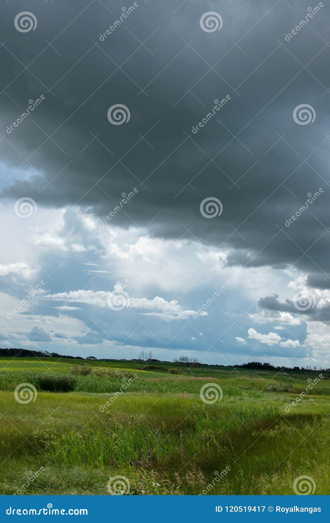 Farm Land North of Churchbridge, Eastern Saskatchewan, Canada. Stock ...