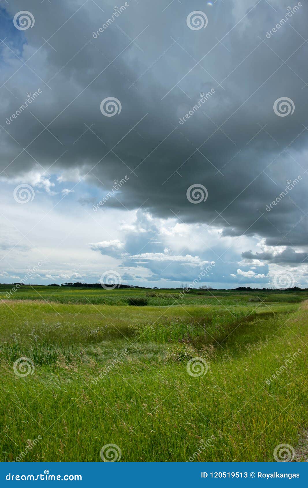 Farm Land North of Churchbridge, Eastern Saskatchewan, Canada. Stock ...