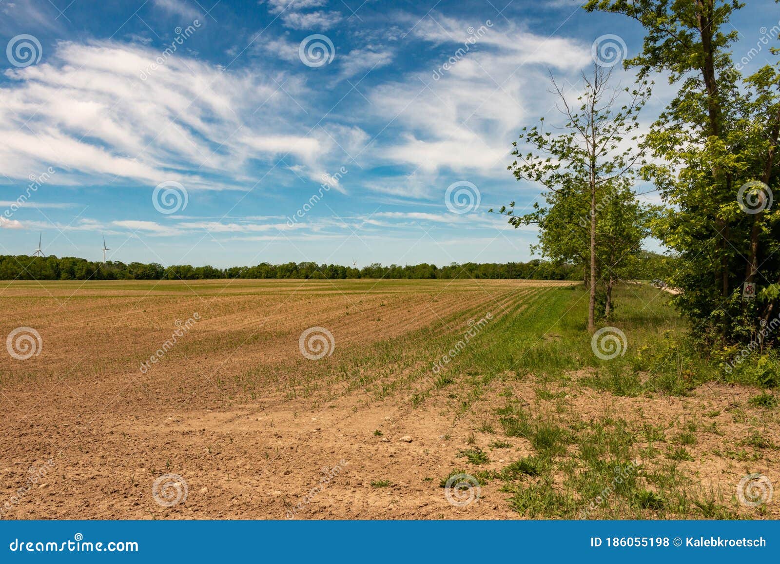 Farm Land, Ontario, Canada. View of Freshly Planted Fields.. Stock ...