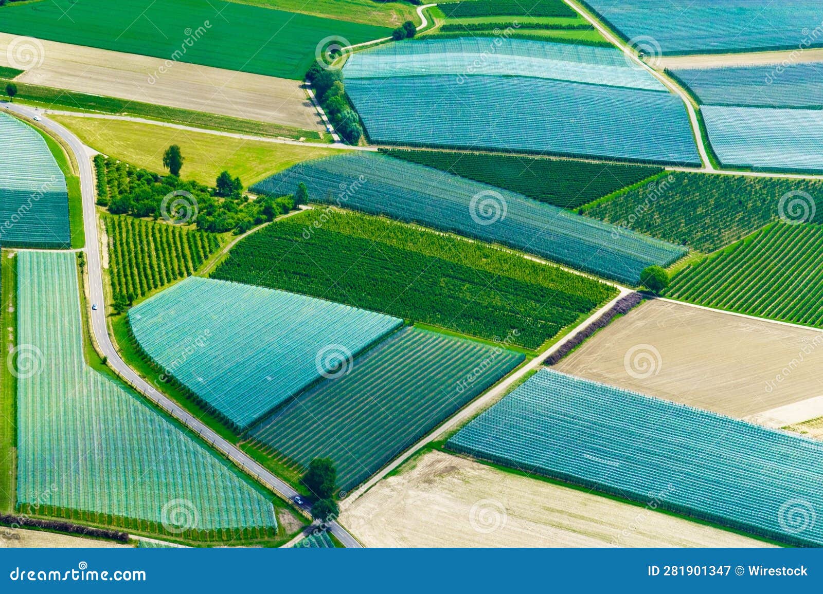 Farm Land with Several Rows of Crops and the Grass in between Them ...