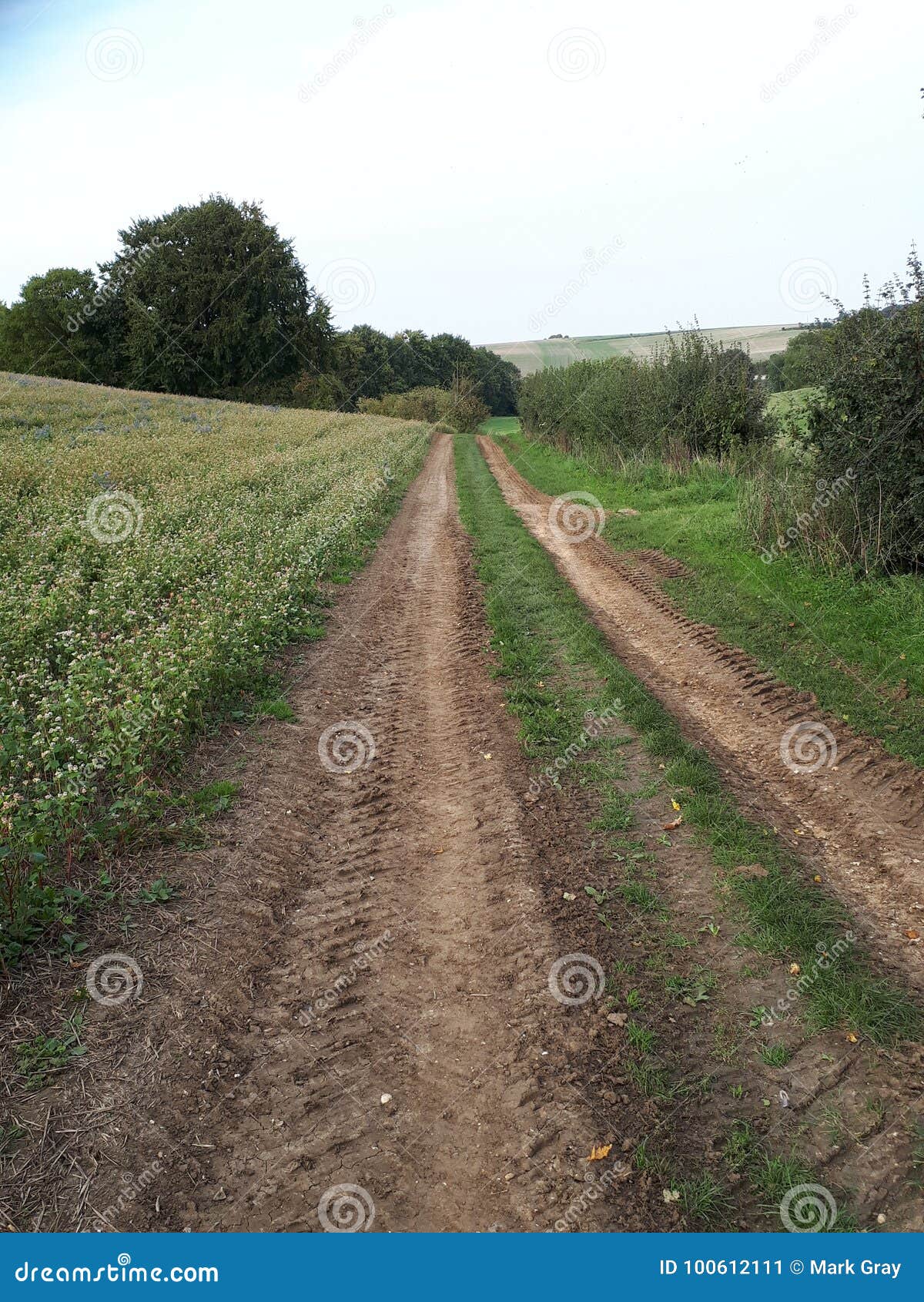 Farm-land Tracks stock image. Image of farmland, tracks - 100612111