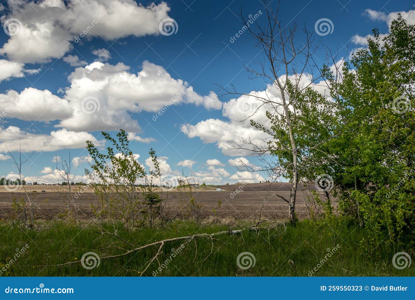 Farm Land Under a Cloudy Sky Red Deer County Alberta Canada Stock Image ...