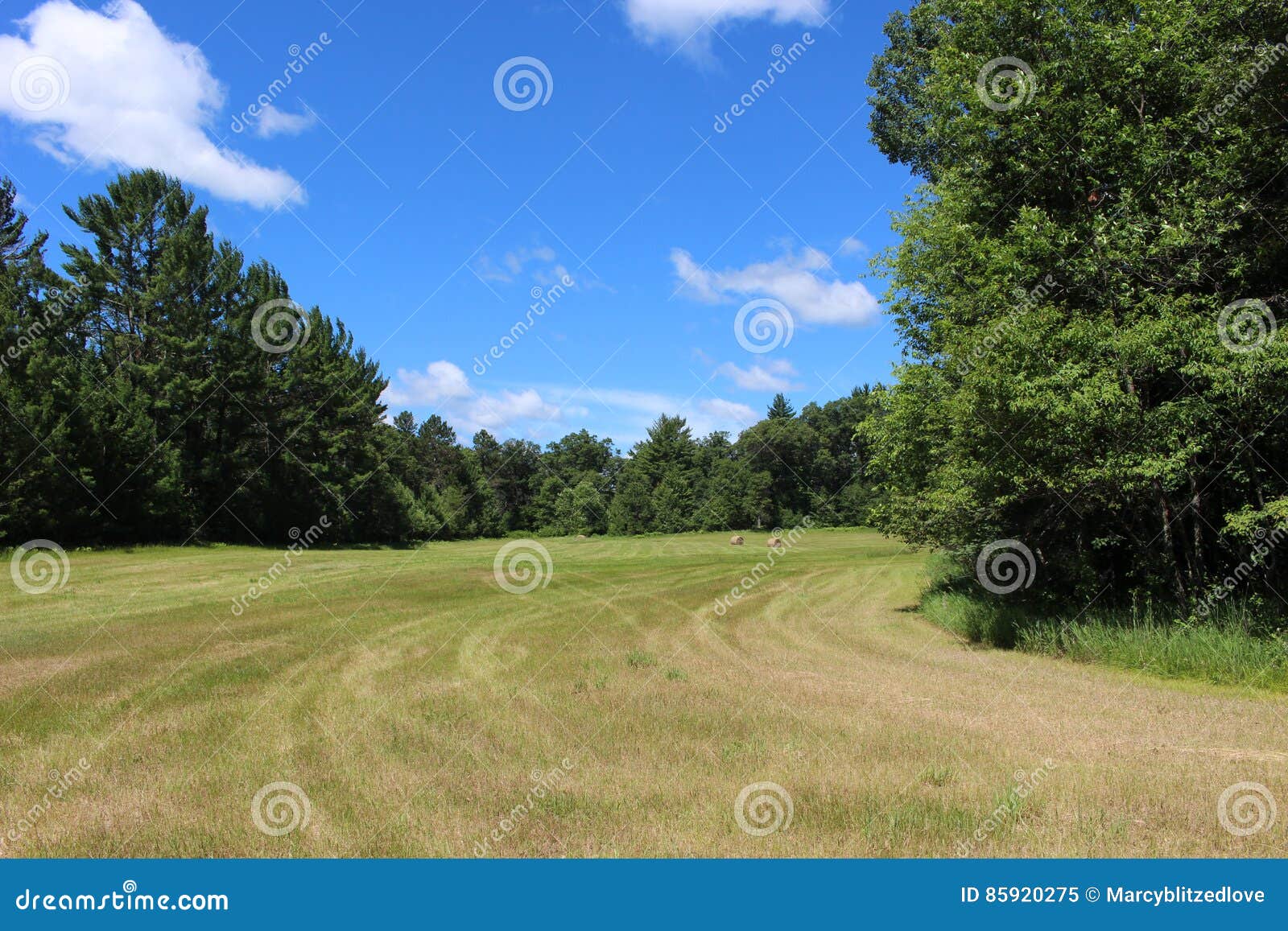 Farm land in Wisconsin stock image. Image of farm, woods - 85920275