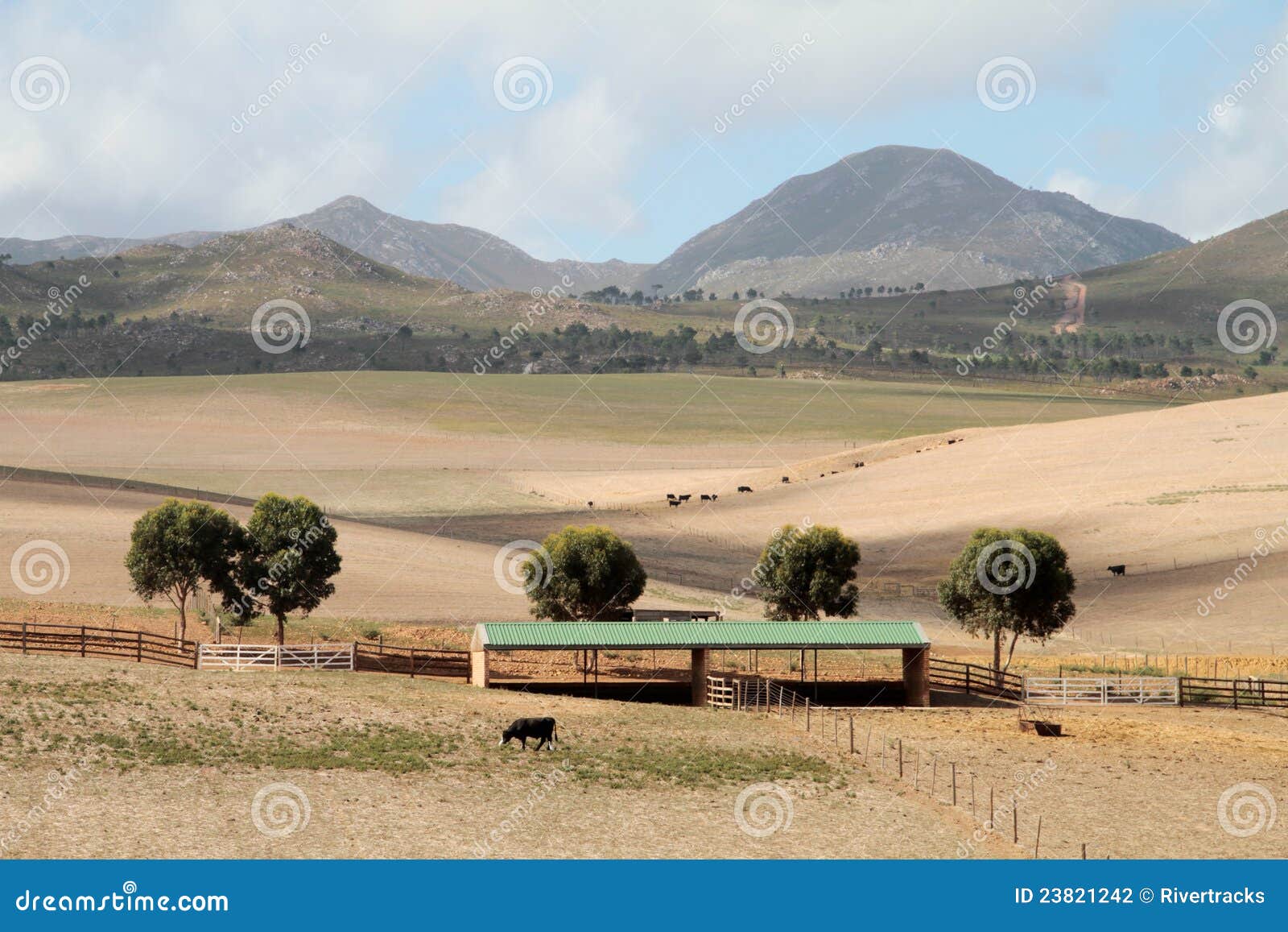 Farm landscape stock photo. Image of grasslands, cape - 23821242