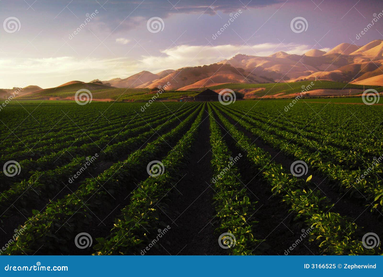 Farm landscape stock image. Image of clouds, agriculture - 3166525