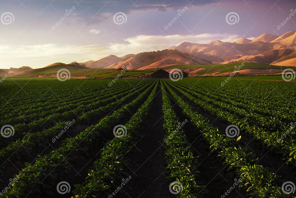 Farm landscape stock image. Image of clouds, agriculture - 3166525