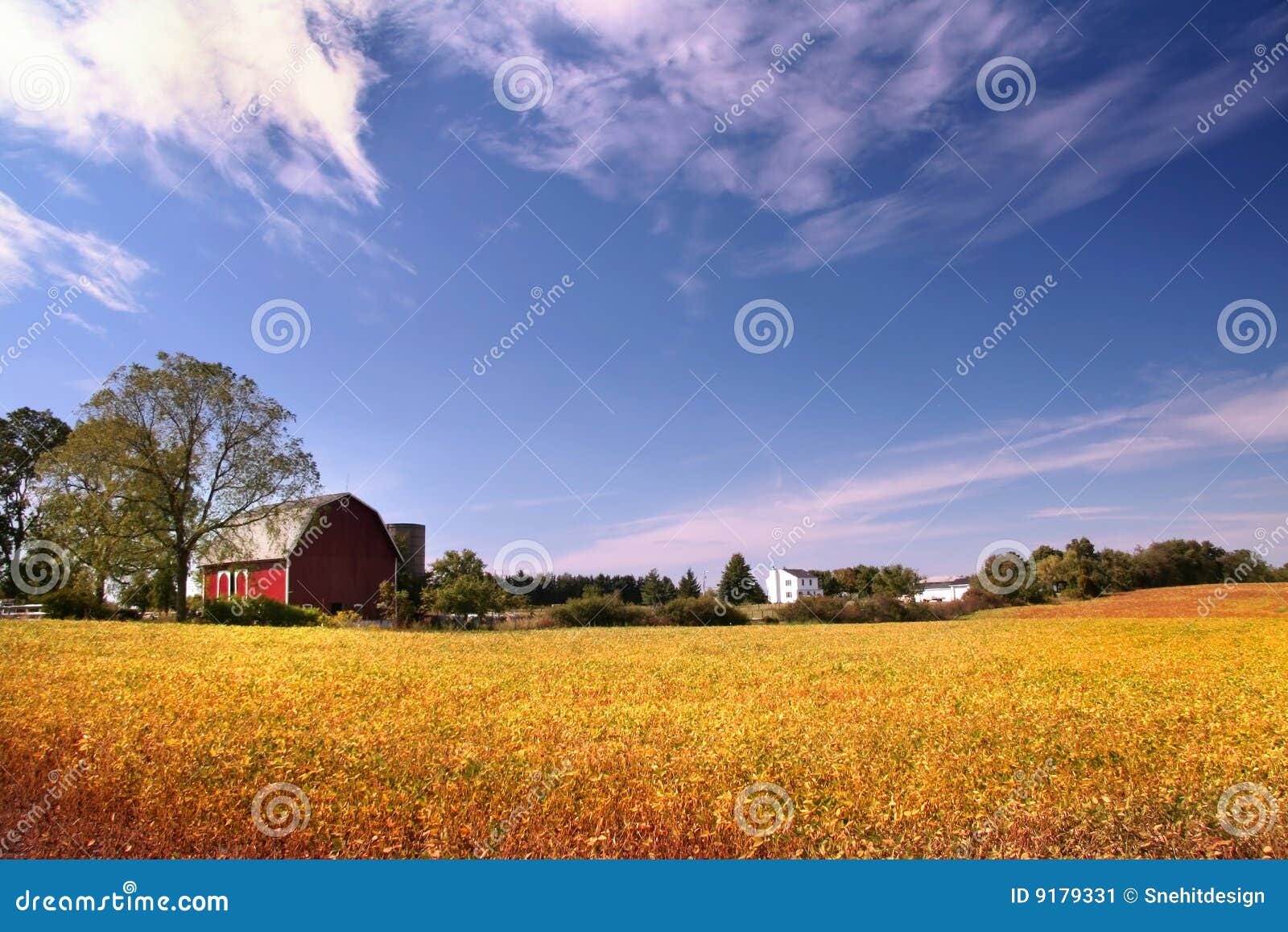 Farm Landscape stock image. Image of barn, nature, agriculture - 9179331