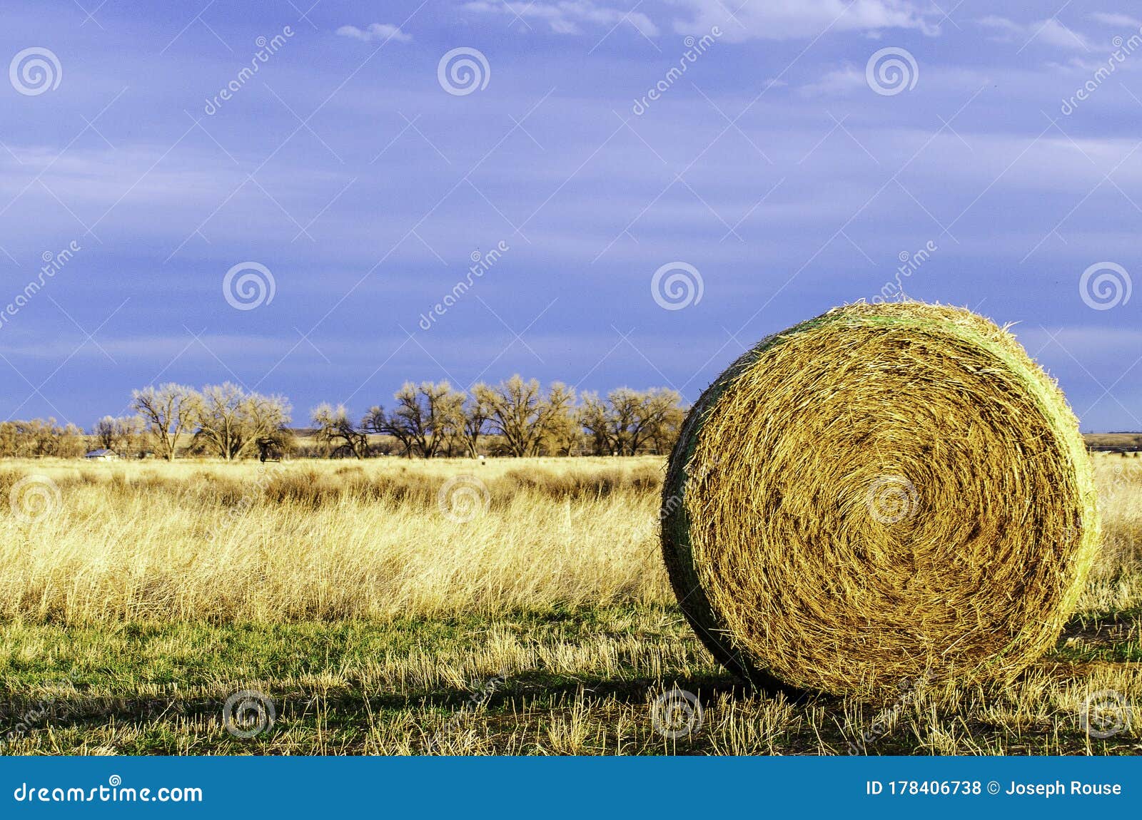Rolled Hay in the Colorado Plains Stock Photo - Image of ranch, roll ...