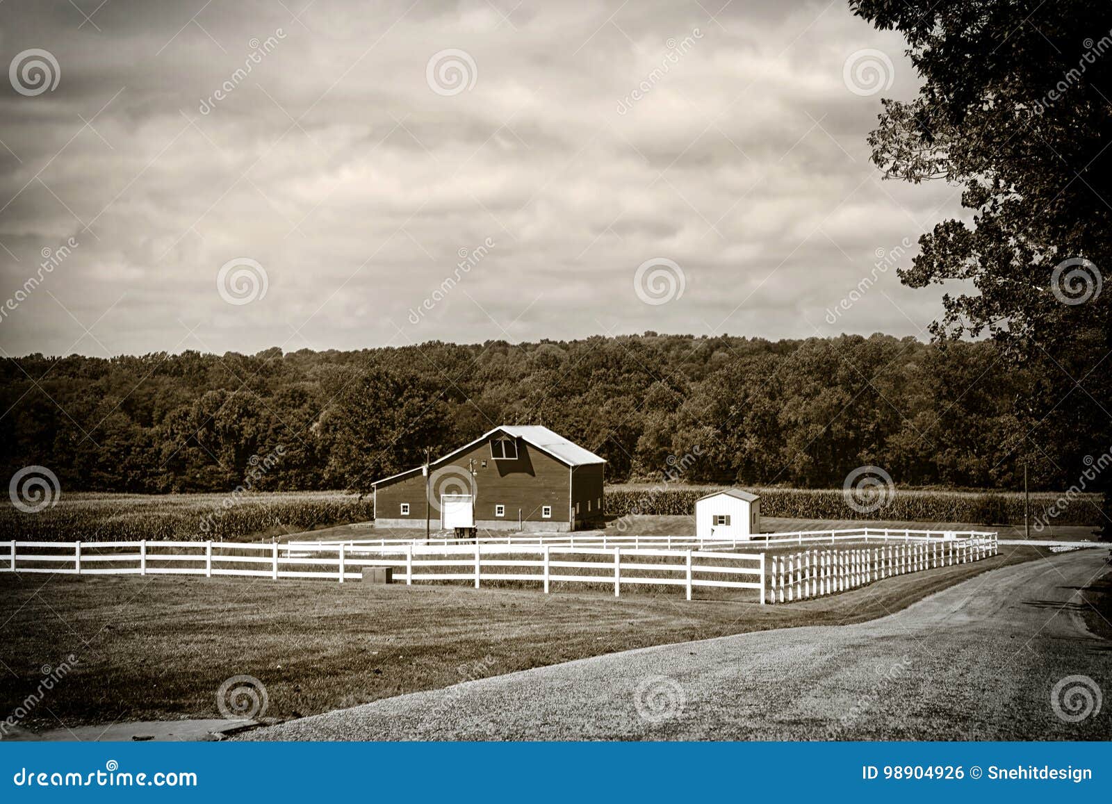 Farm landscape in Indiana stock photo. Image of barn - 98904926