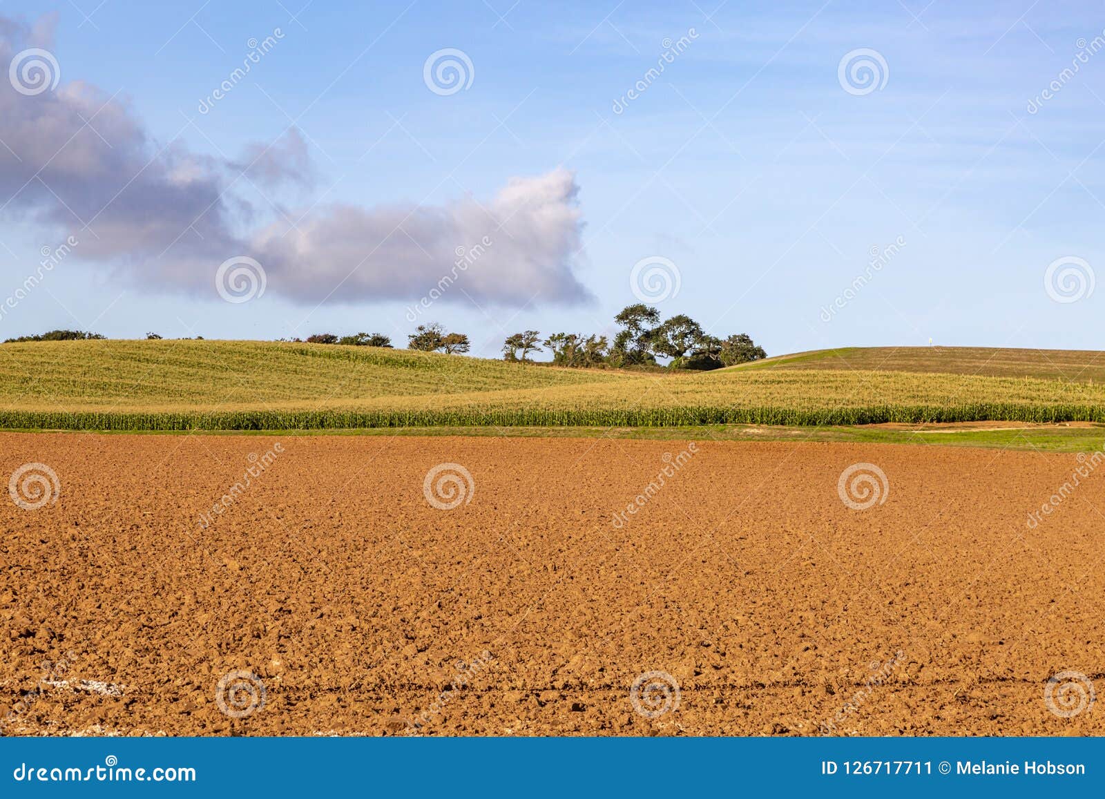 Isle of Wight Rural Landscape Stock Image - Image of isle, farming ... Isle of Wight Rural Landscape Stock Image - Image of isle, farming ...