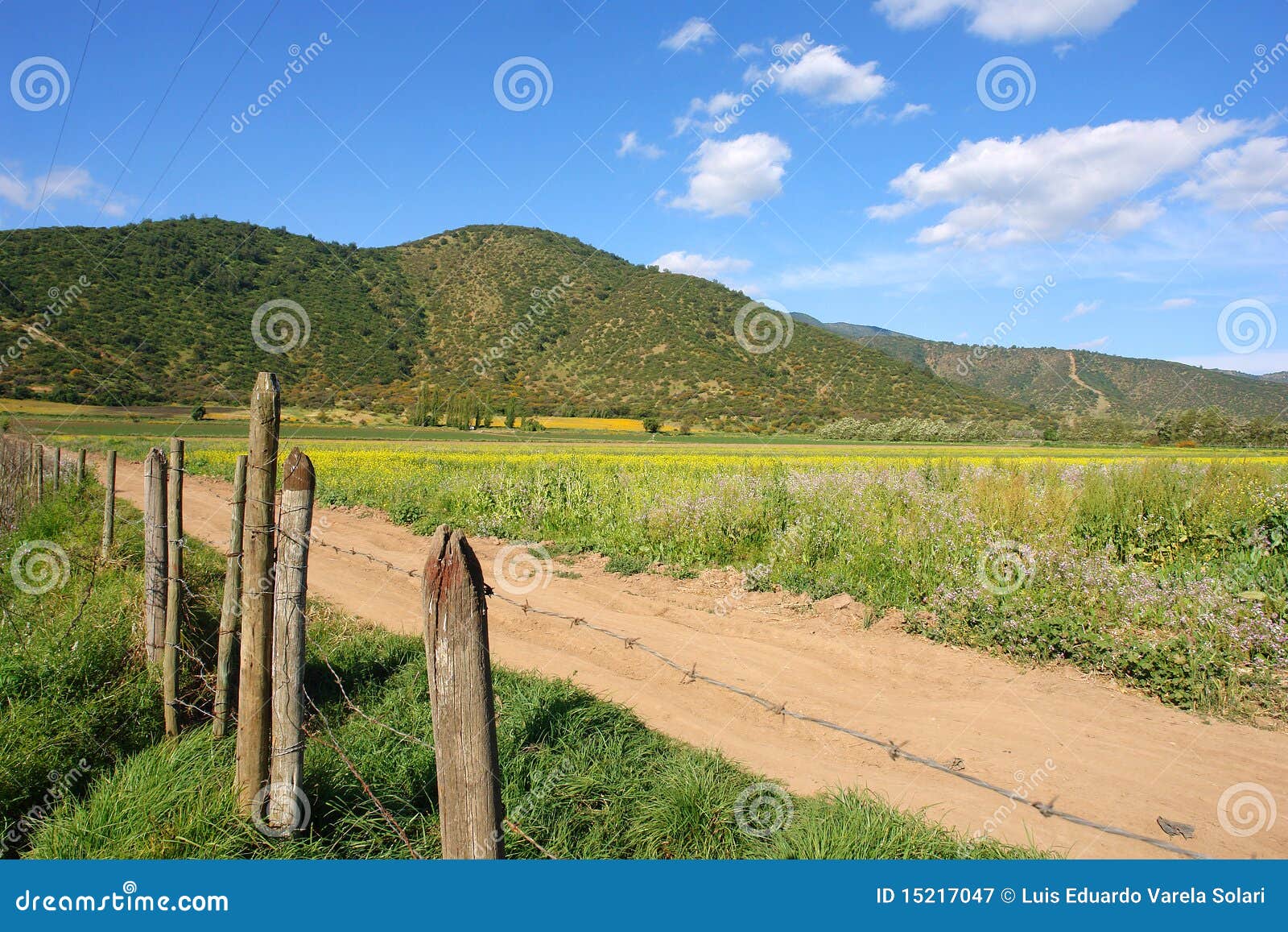 Farm Landscape, Santiago, Chili Stock Image - Image of station ...