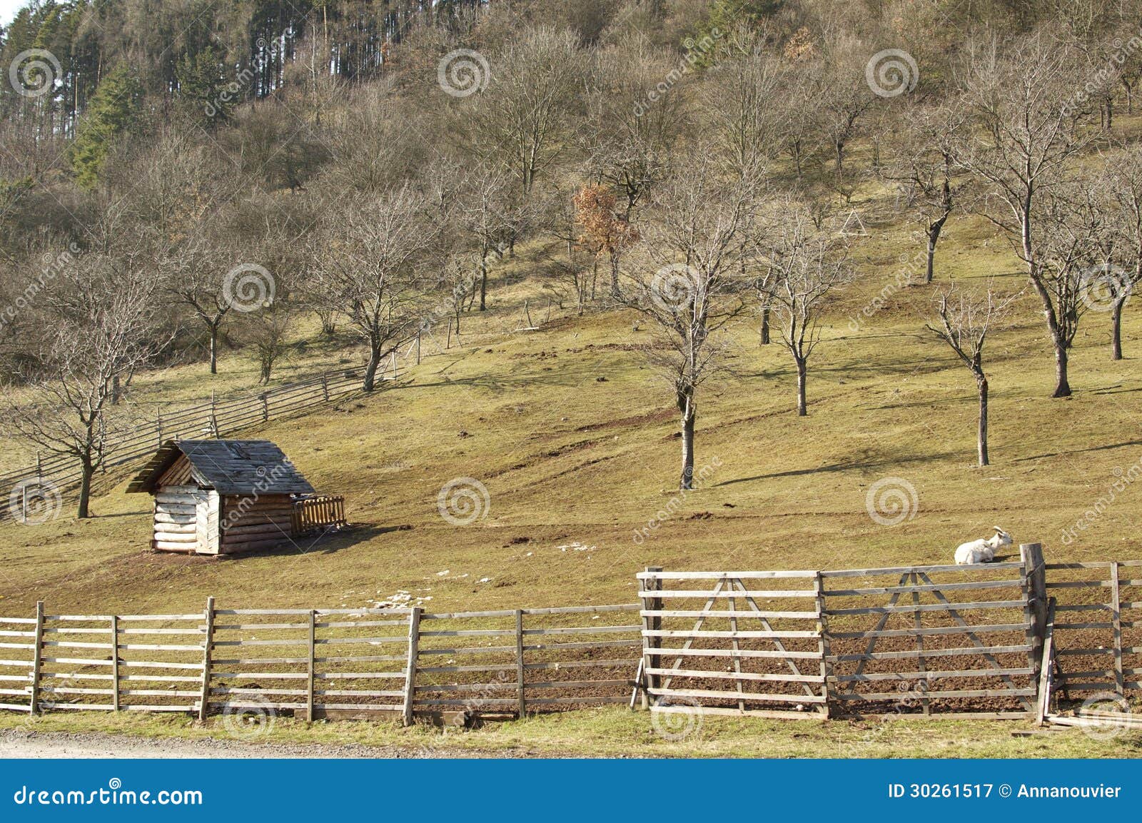 Farm landscape stock image. Image of brown, sunny, farmland - 30261517