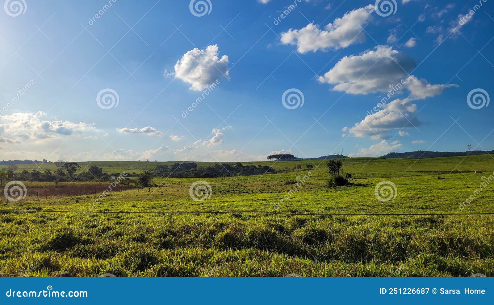 Farm Landscape View in the Countryside of Brazil Stock Image - Image of ...