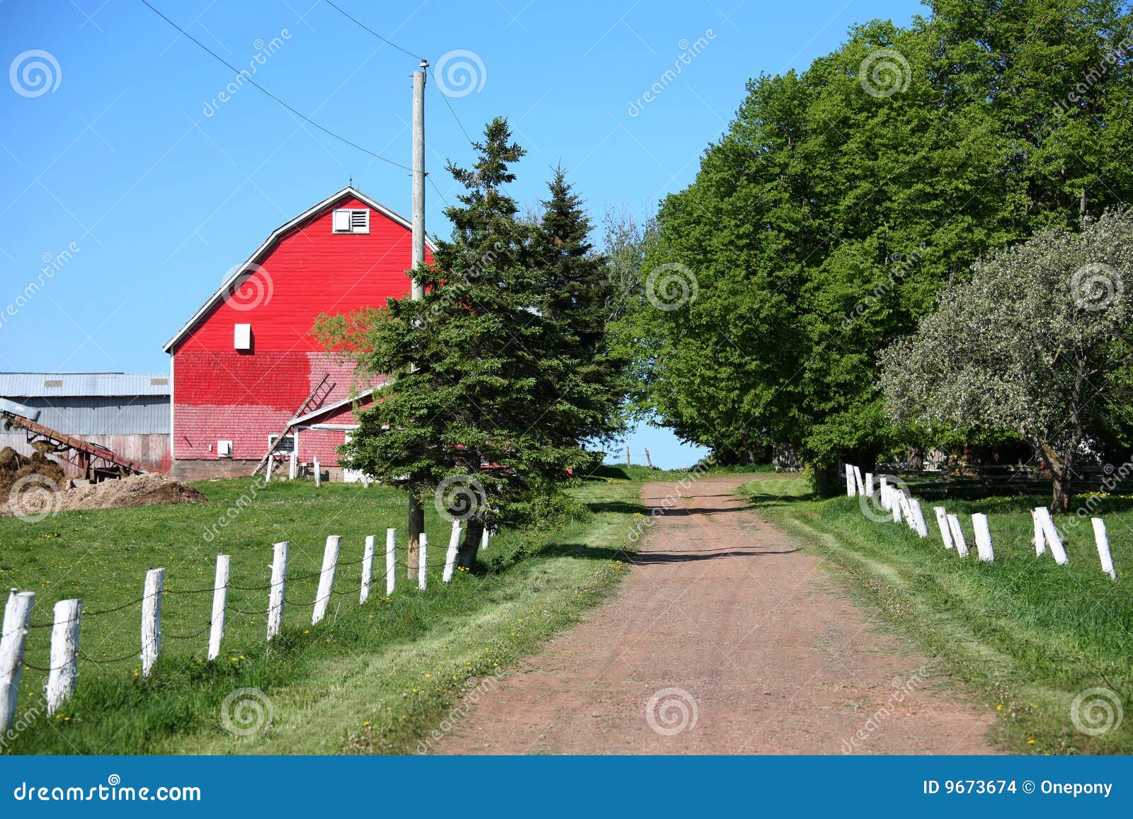Farm Lane stock photo. Image of summer, barn, road, green - 9673674