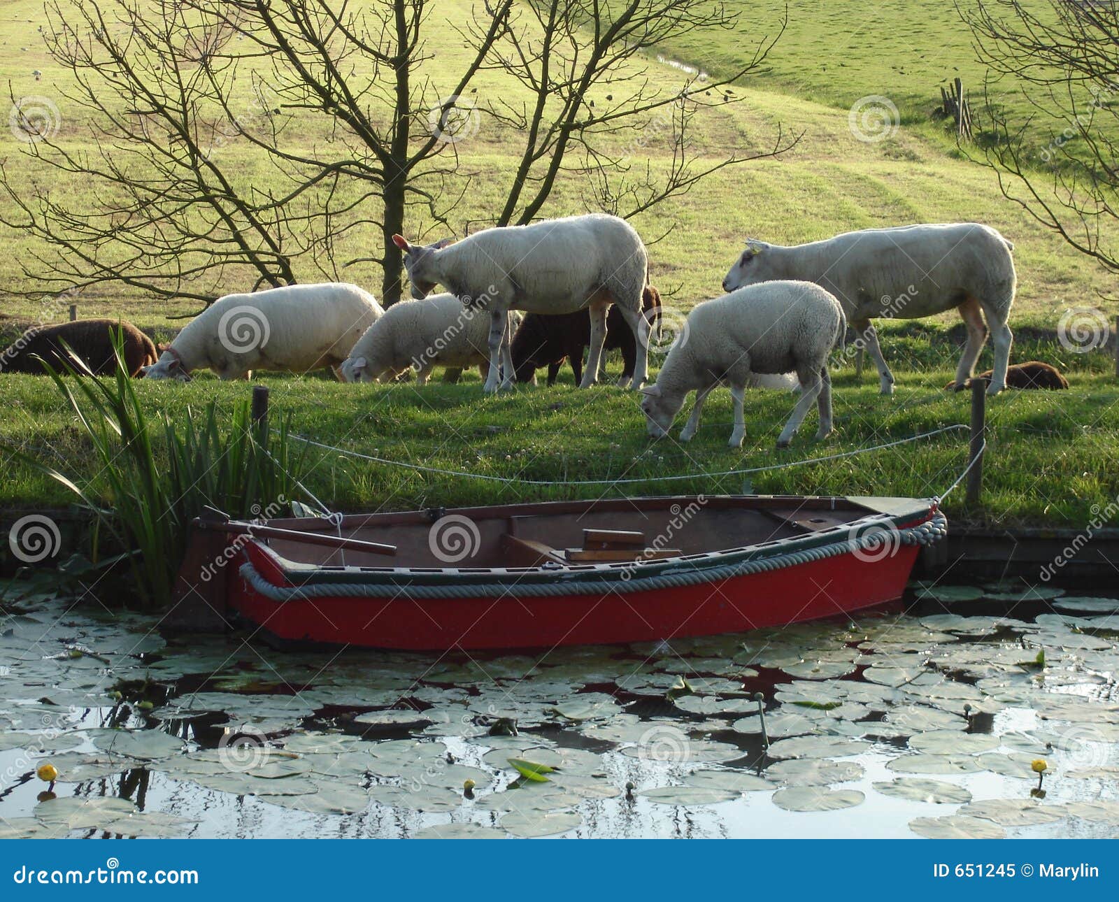 Farm Life Picture. Image: 651245