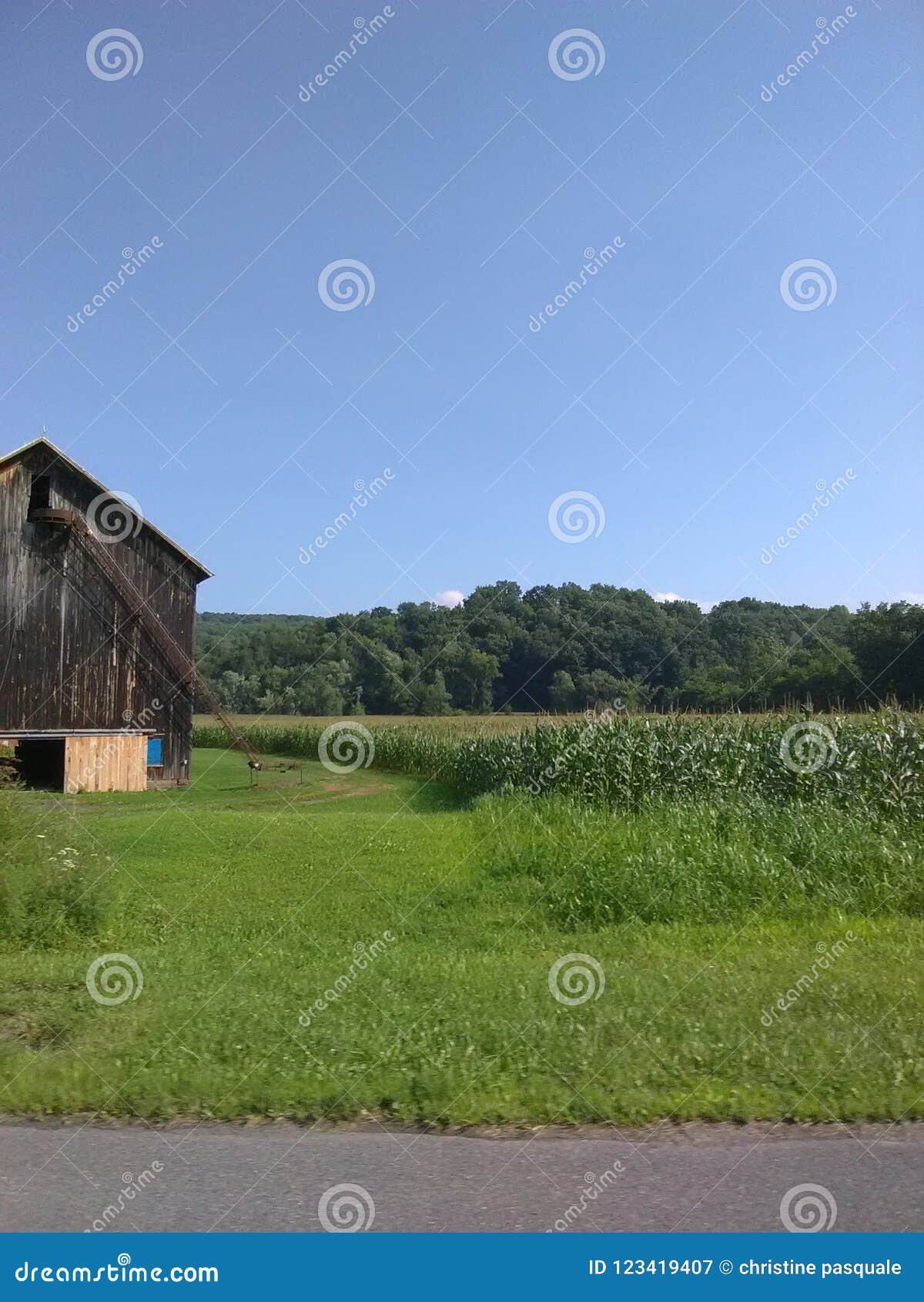 Farm life stock image. Image of landscape, beautiful - 123419407