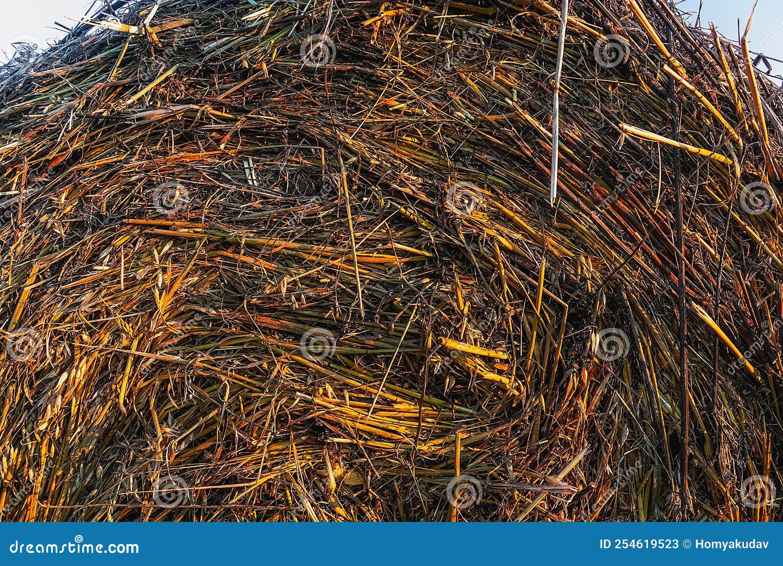 Haystack in a Field during Sunset Stock Image - Image of large, green ...