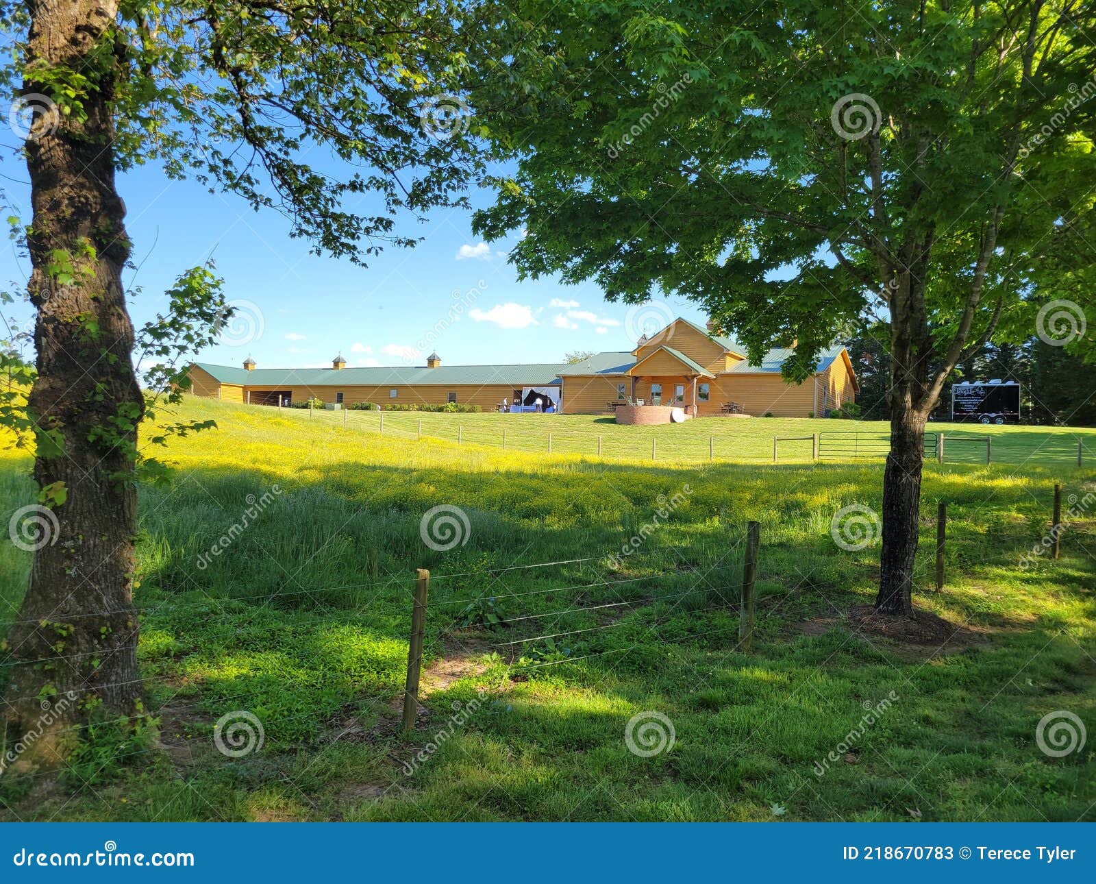 Farm Life in NC stock image. Image of life, farm, nature - 218670783