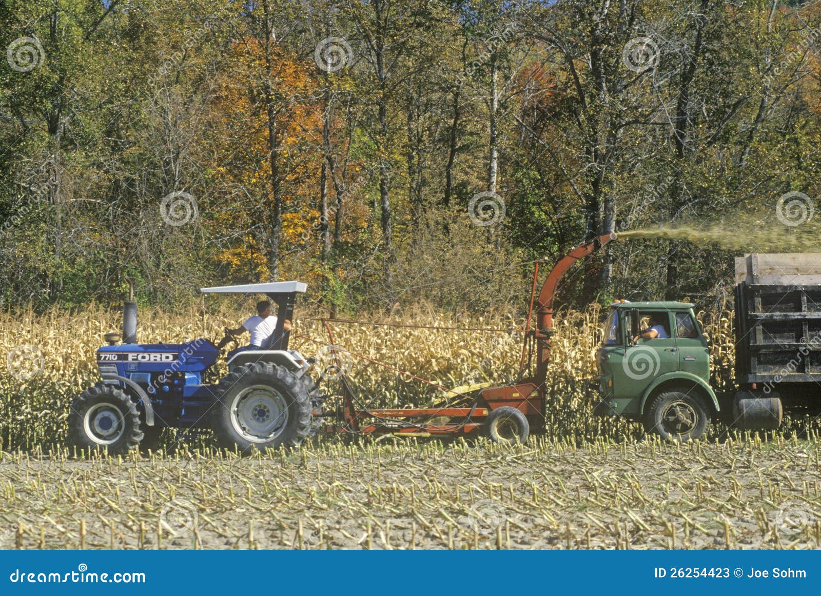 Farm Machinery Harvesting Corn Editorial Stock Photo - Image of ...
