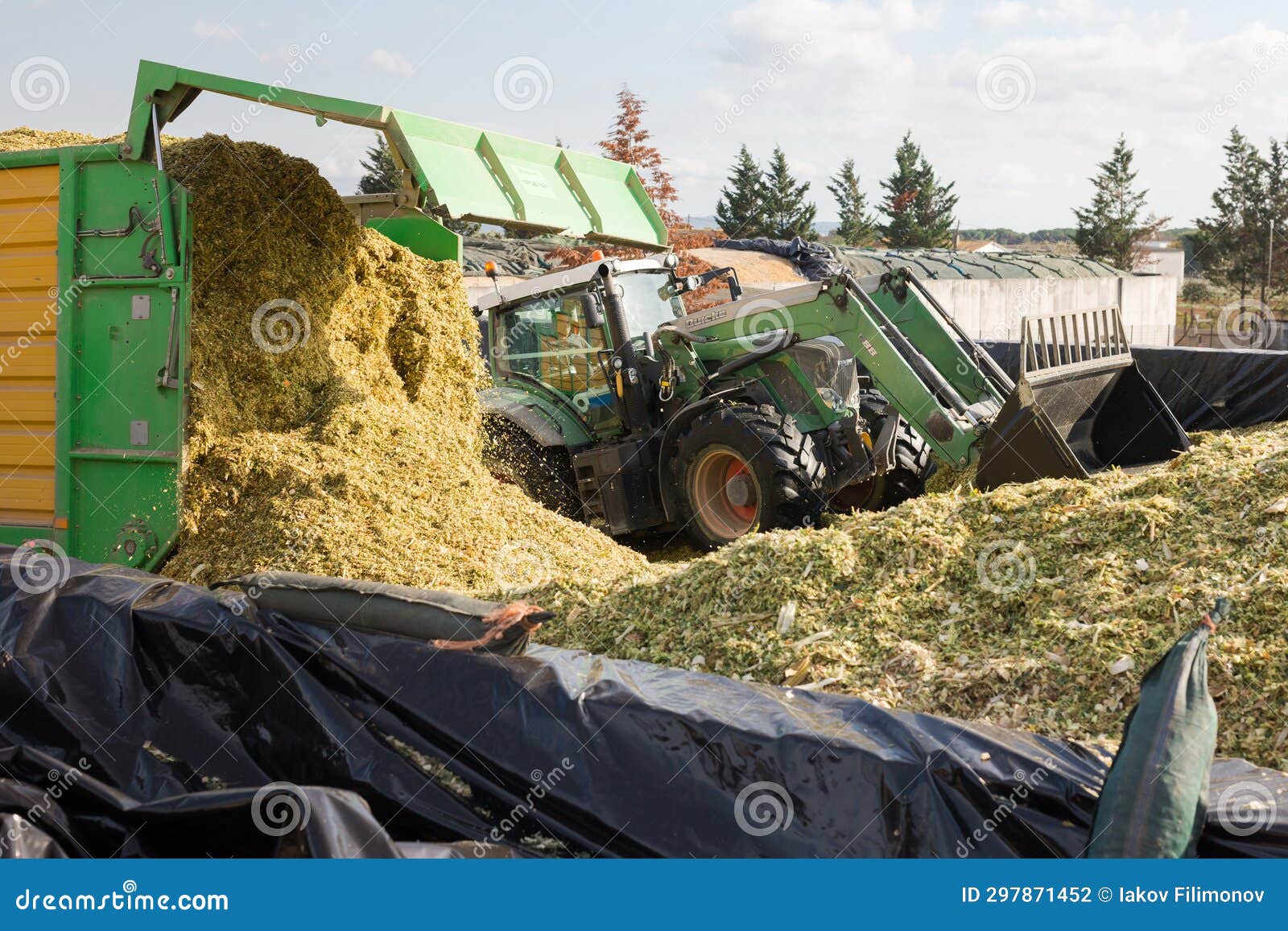 Farm Mas Bes, Spain - October 20, 2021: Preparation of Chopped Corn for ...
